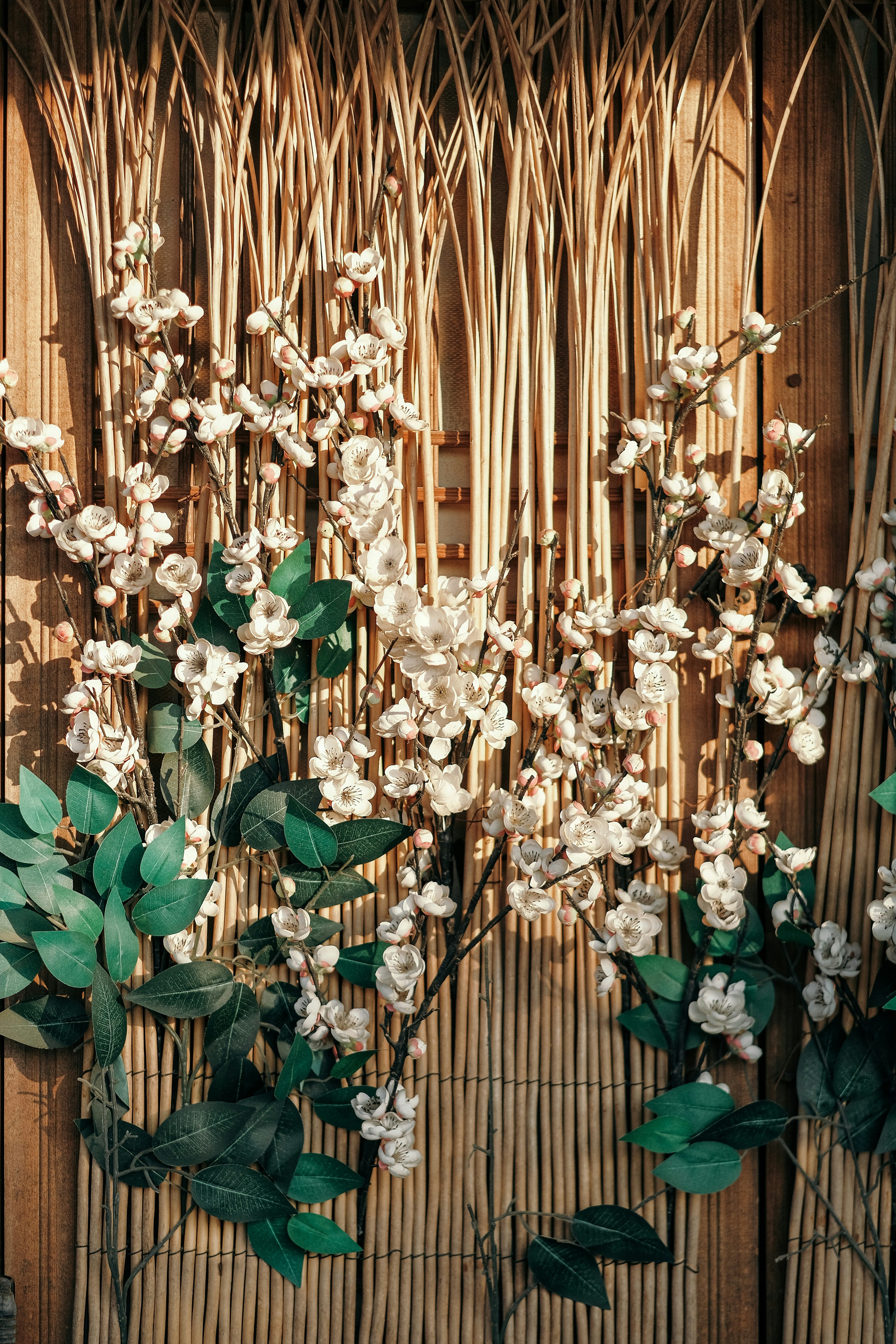 a close up of a bunch of flowers on a bamboo wall
