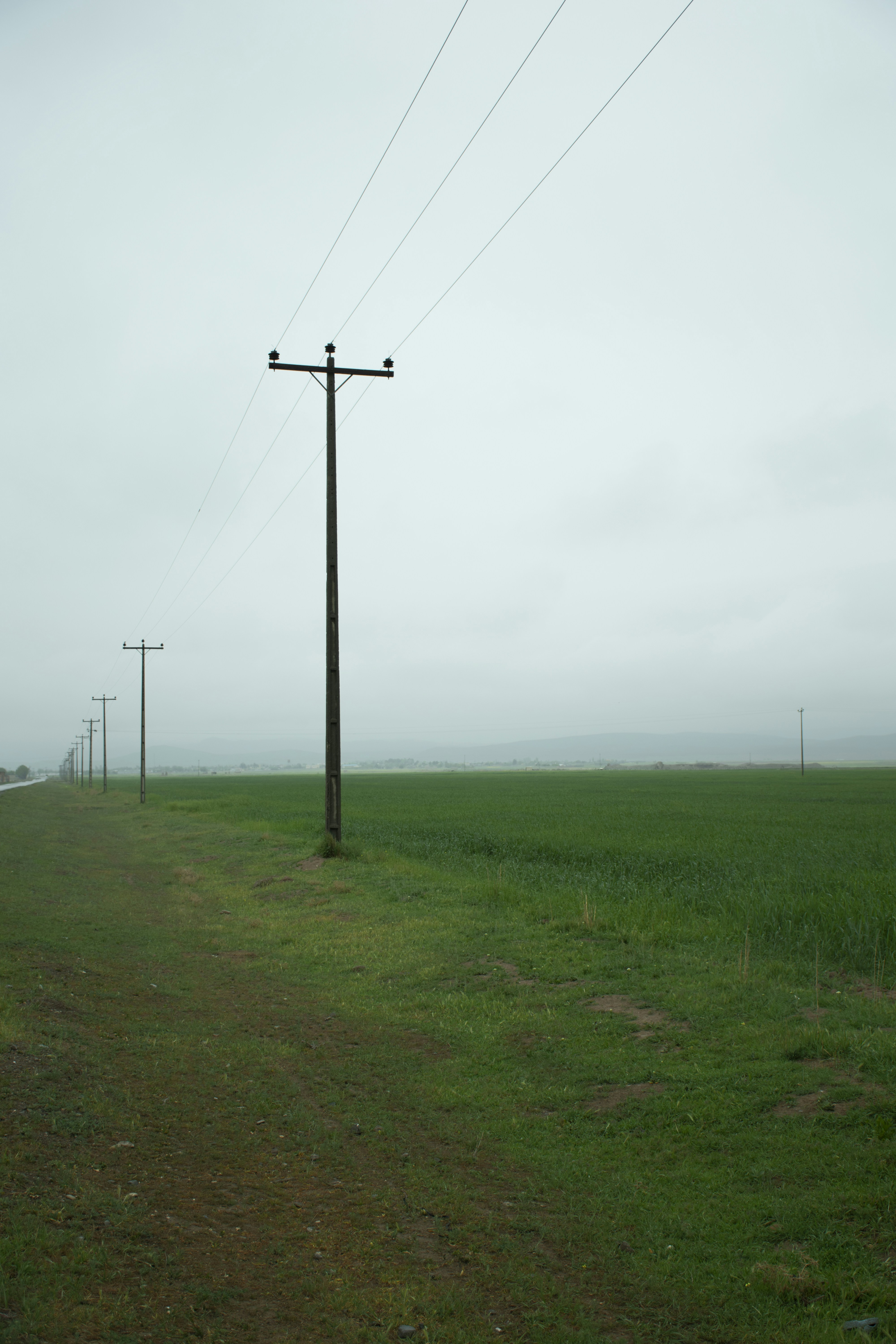 Lonely power poles line a grassy path under a cloudy sky, evoking a sense of solitude and tranquility.