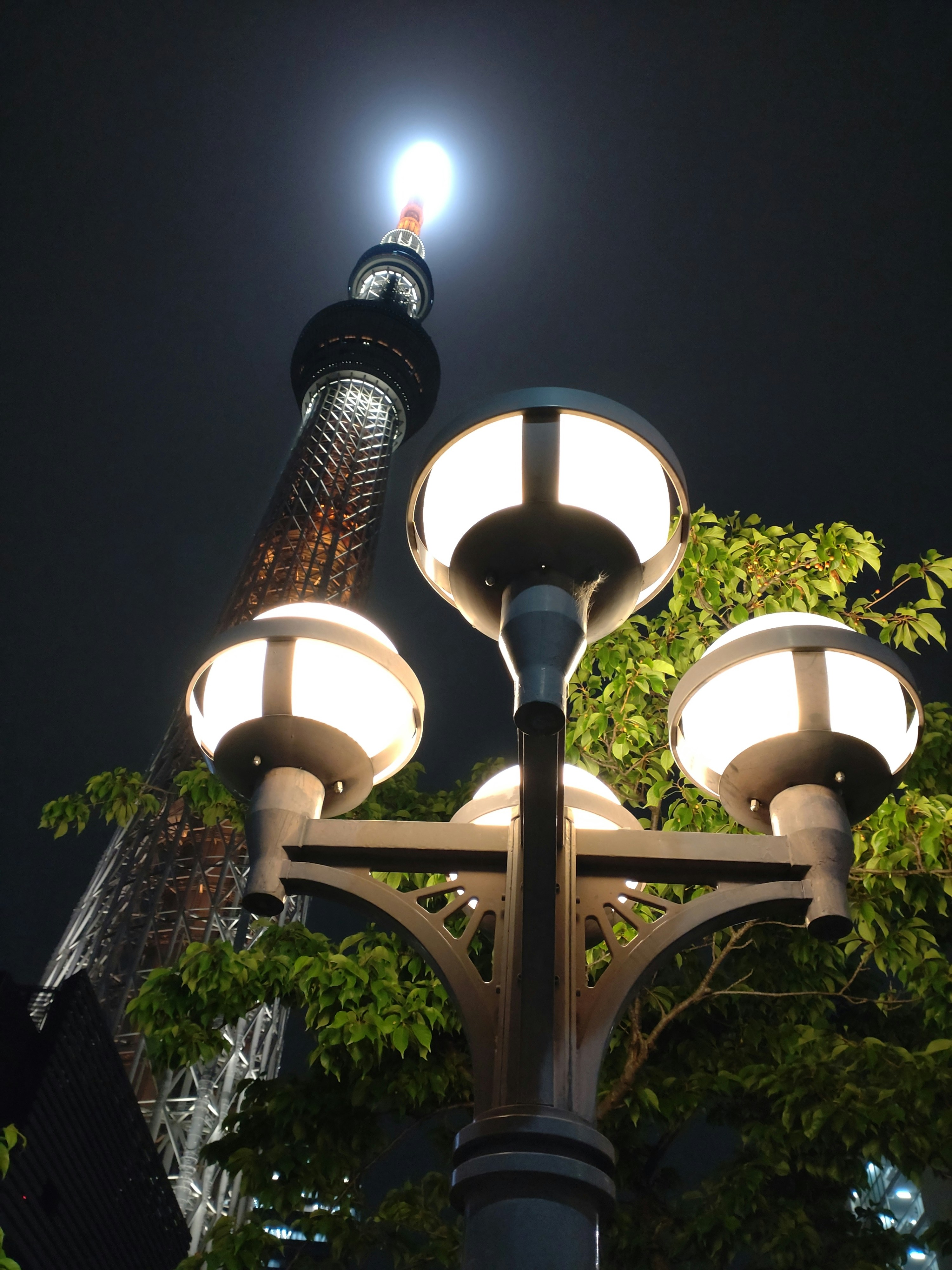 Nightfall Needle: Tokyo Skytree Rising Above a Halo of Streetlamps