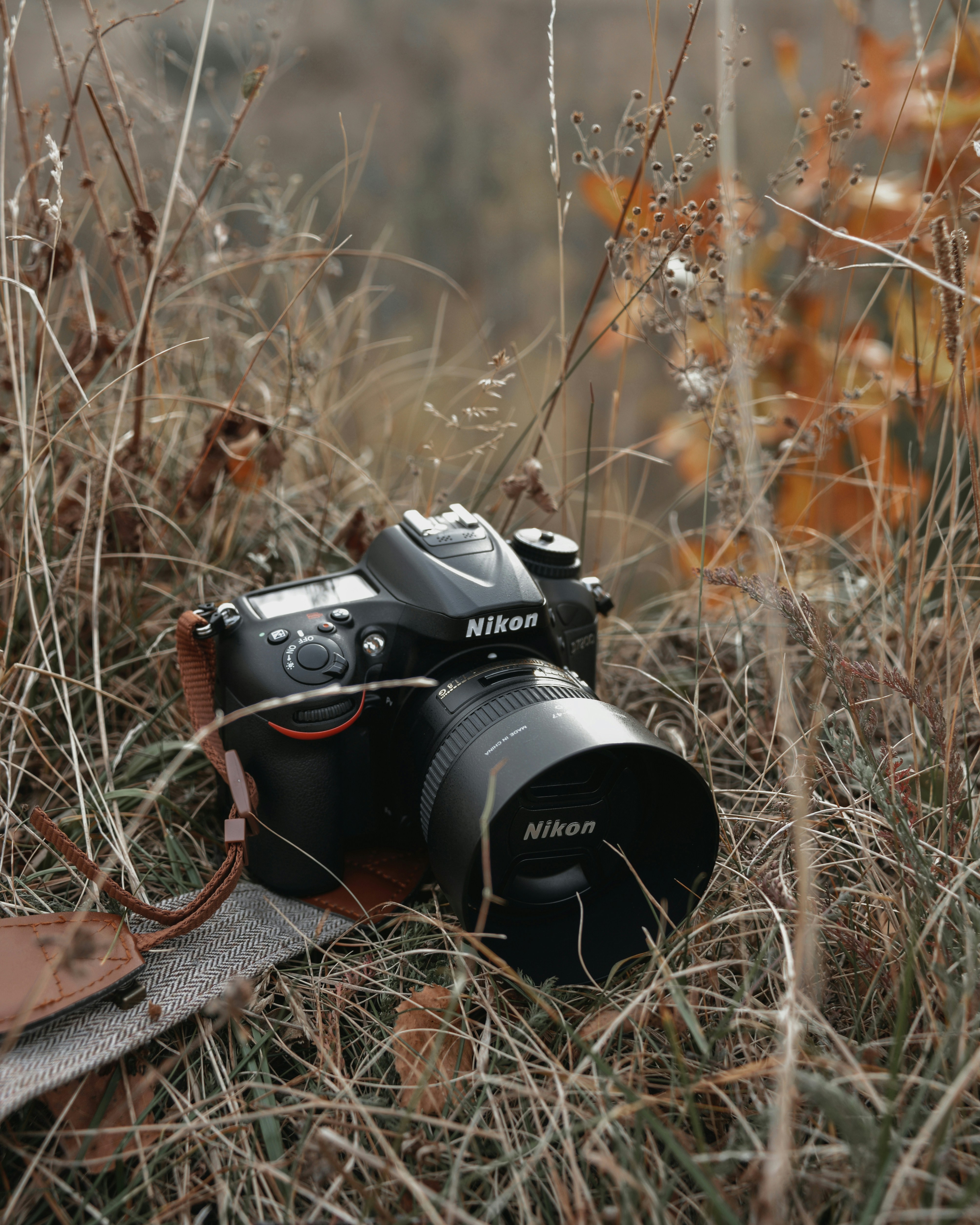 Сamera in the field