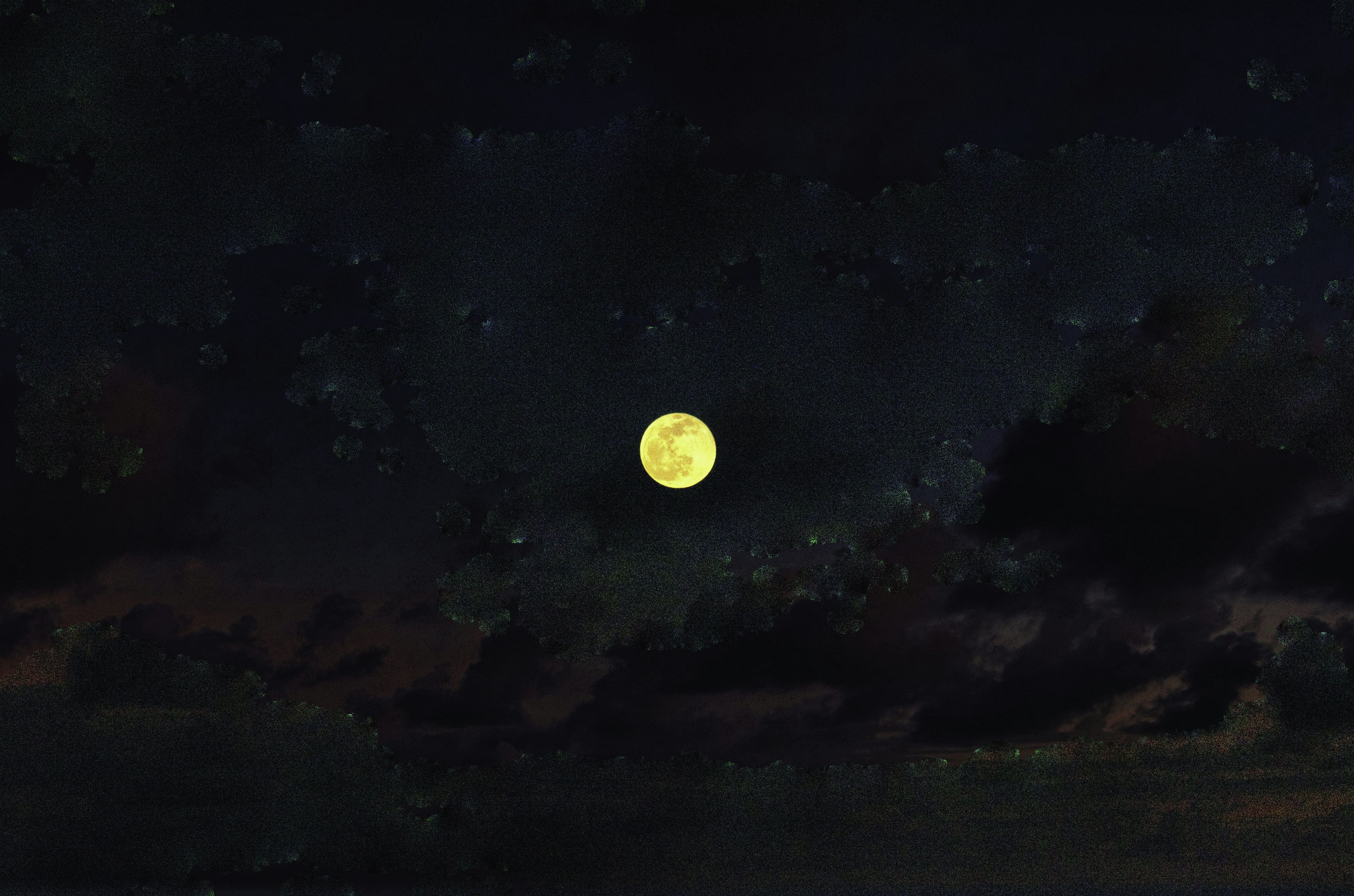 Cryptic Pictures | Download Free Images on Unsplash