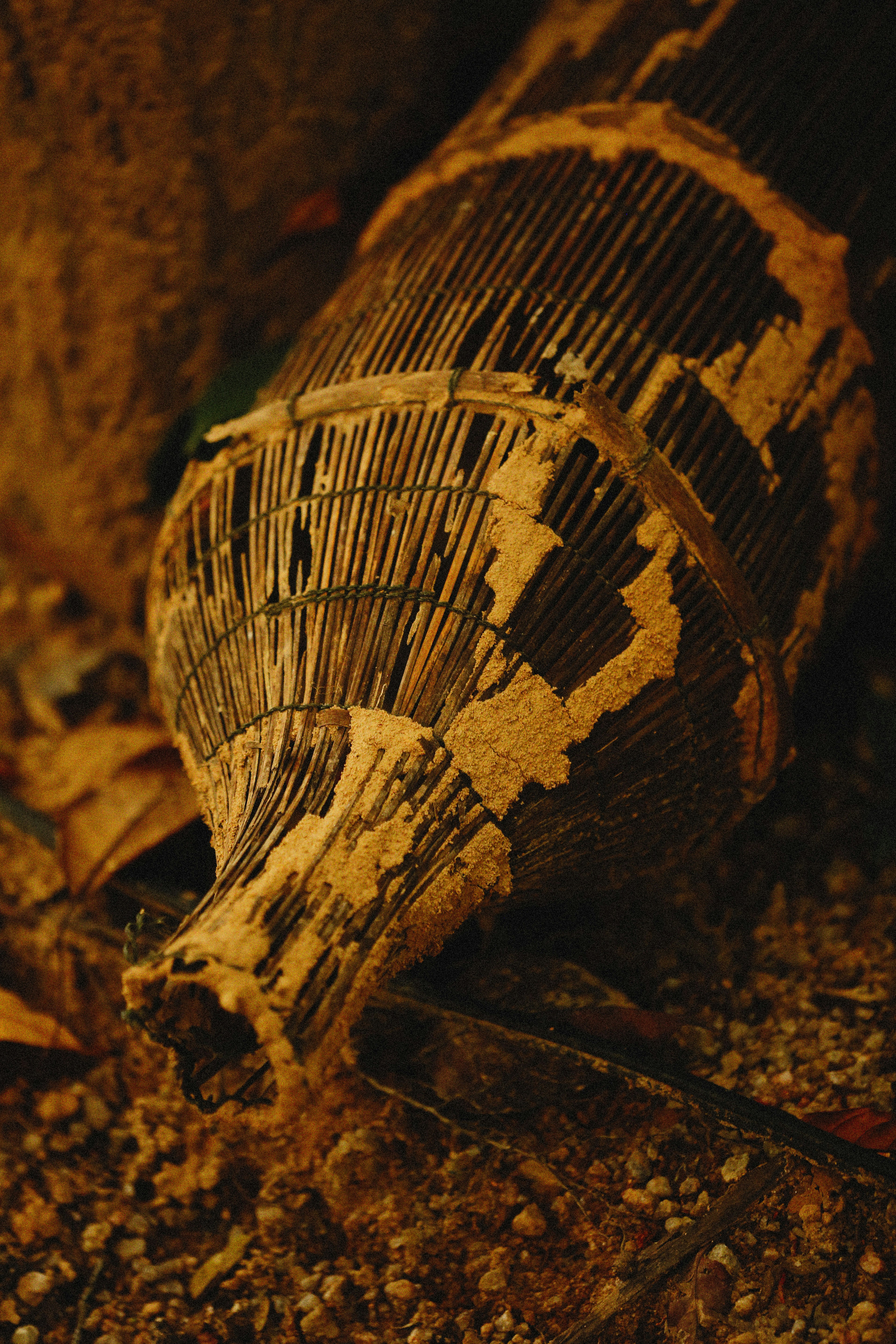Weathered clay vessel nestled among fallen leaves, showcasing intricate textures and natural erosion. 