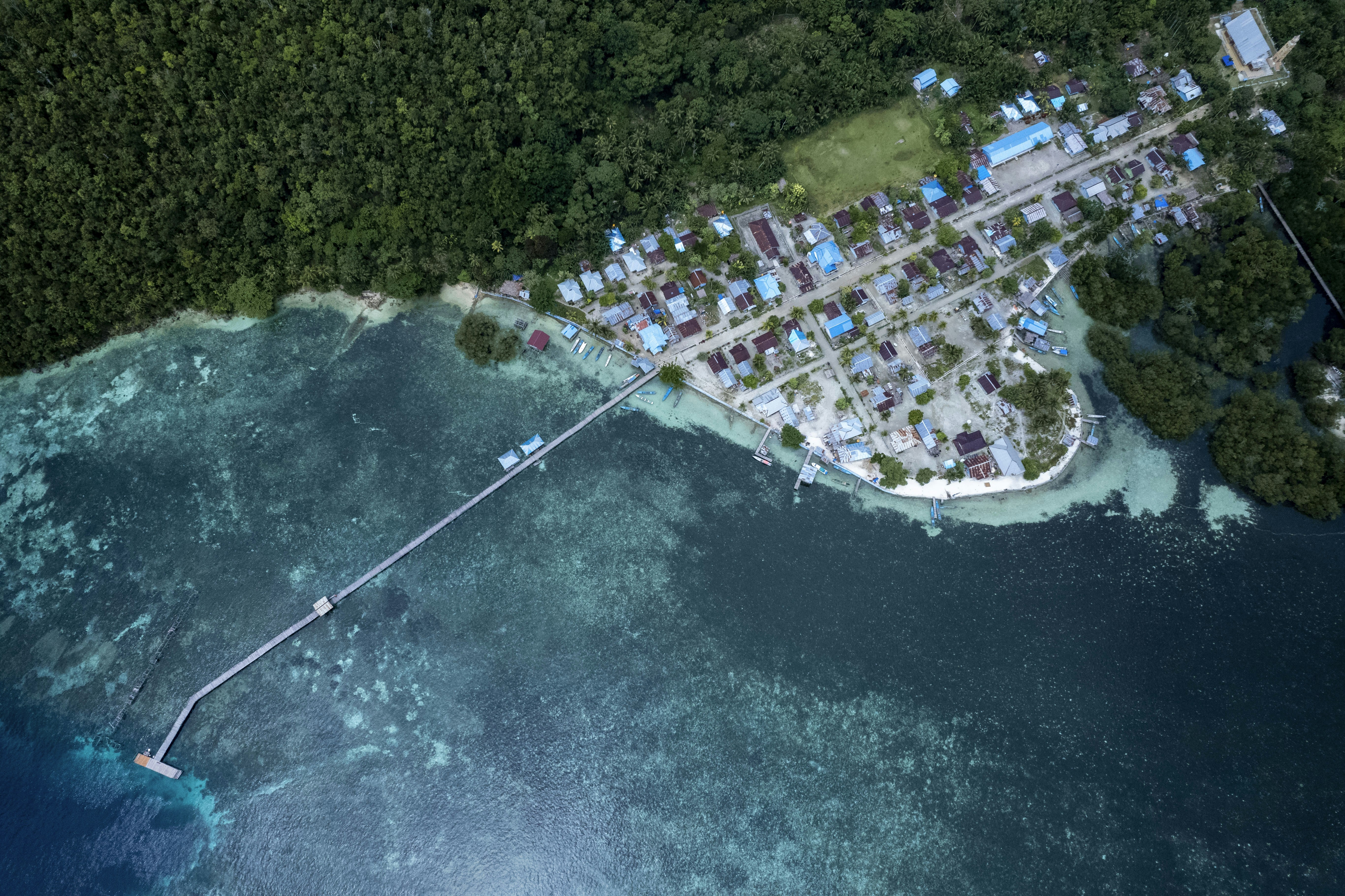 Aerial view of a coastal village with a long pier extending into the turquoise waters, surrounded by lush greenery.