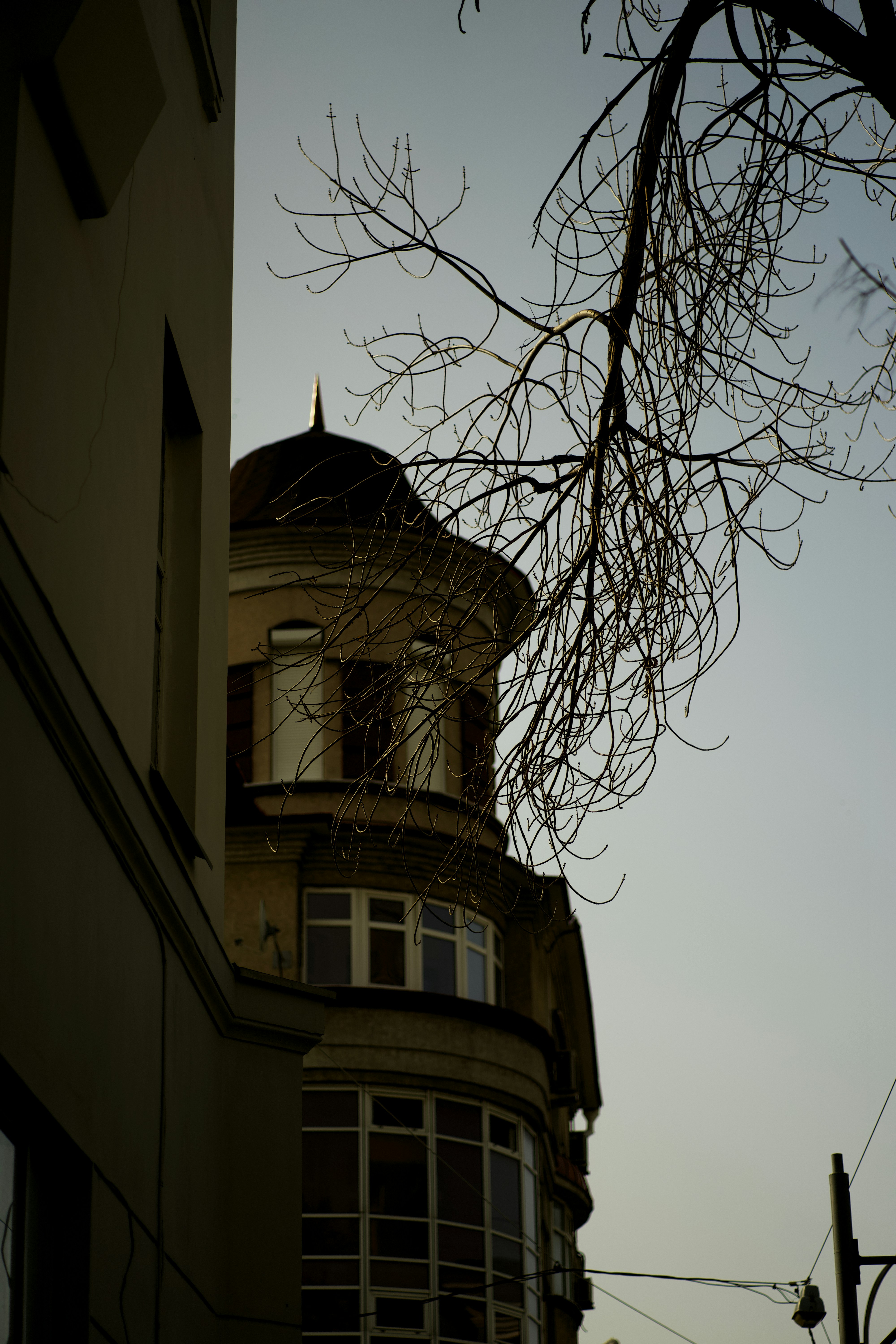 Dome-Topped Turret Framed by Winter Branches