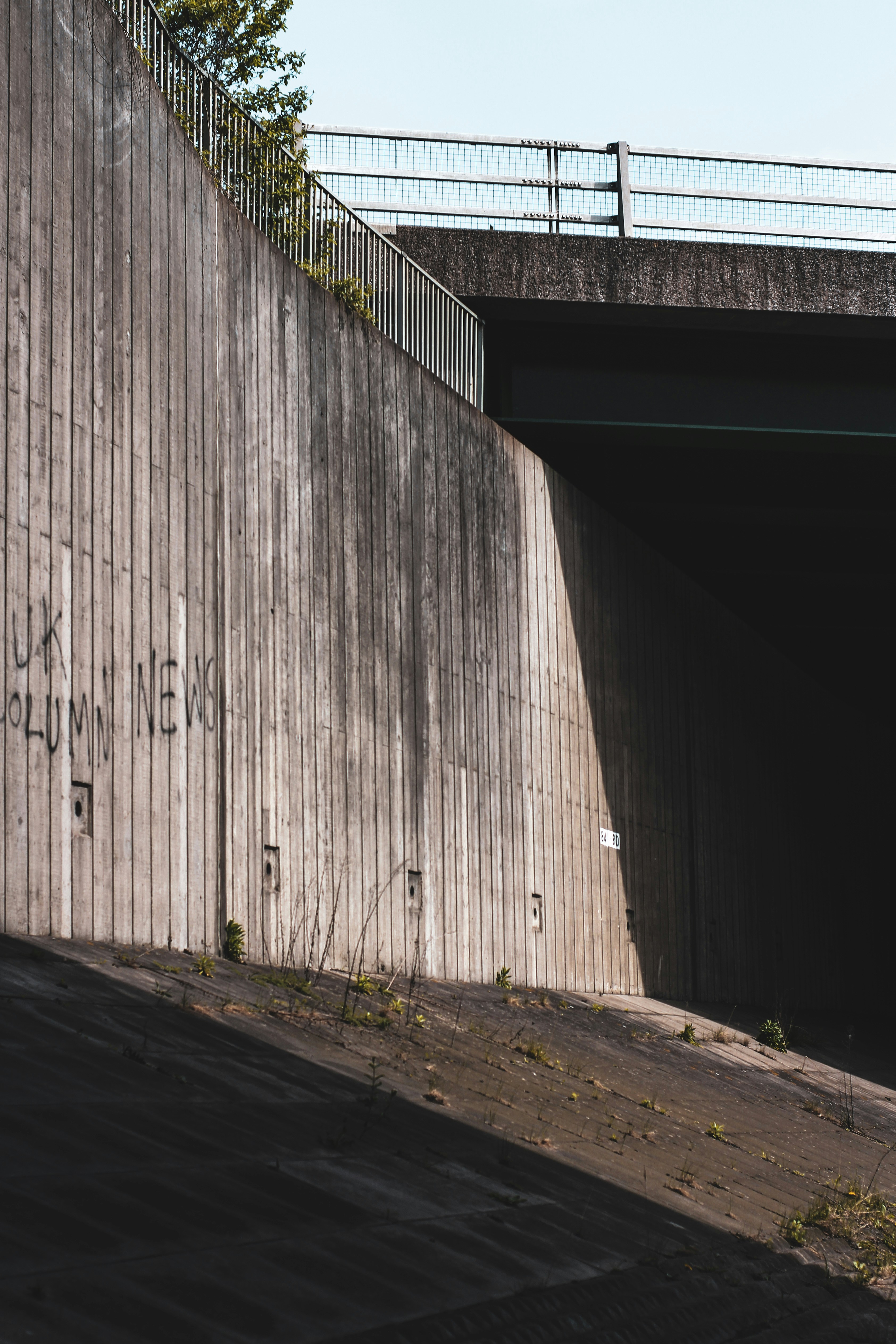 A man riding a skateboard down a ramp under a bridge photo – Free Wall ...