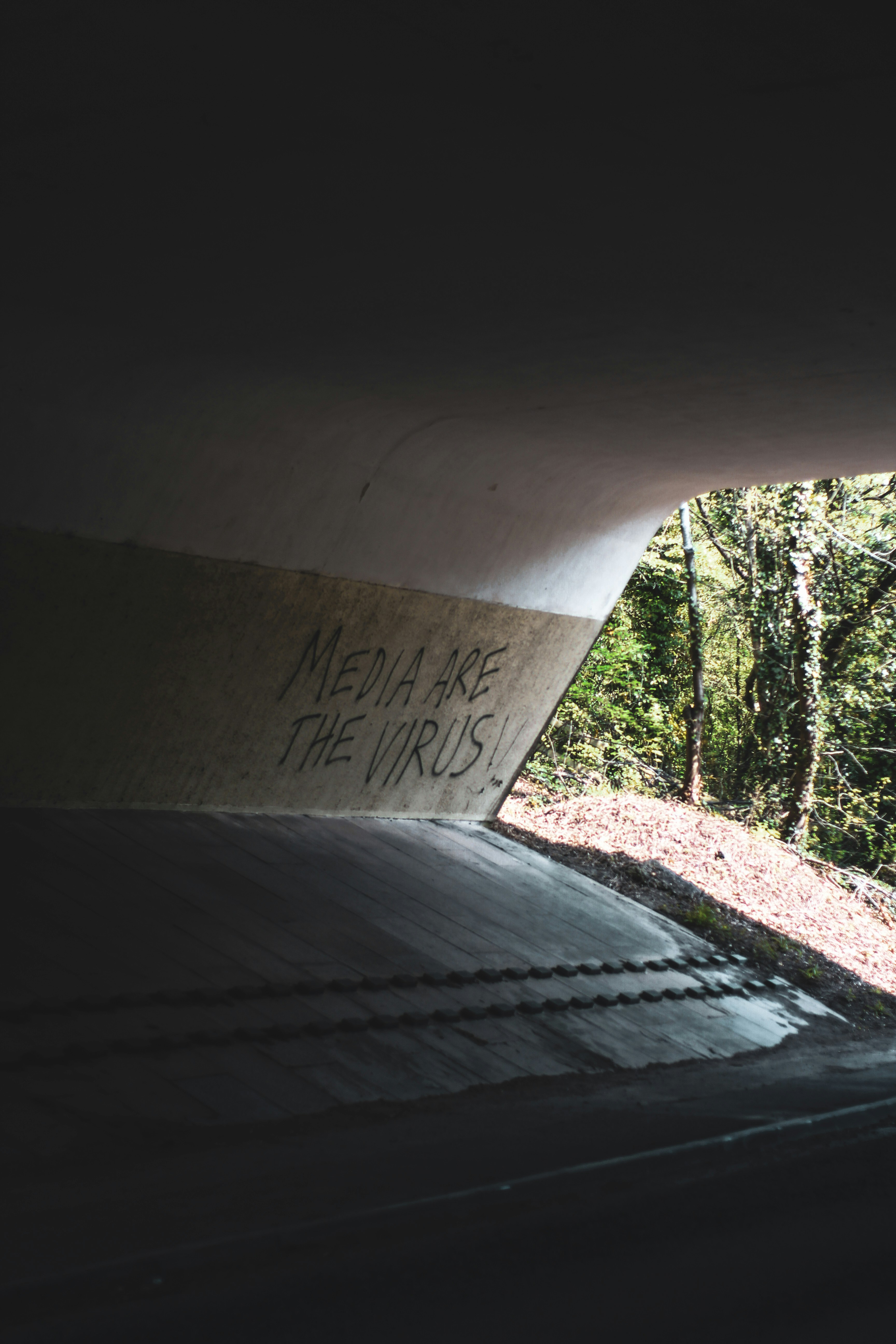 Graffiti reading 'Media are the virus!' under a dimly lit overpass, with natural greenery visible in the background.