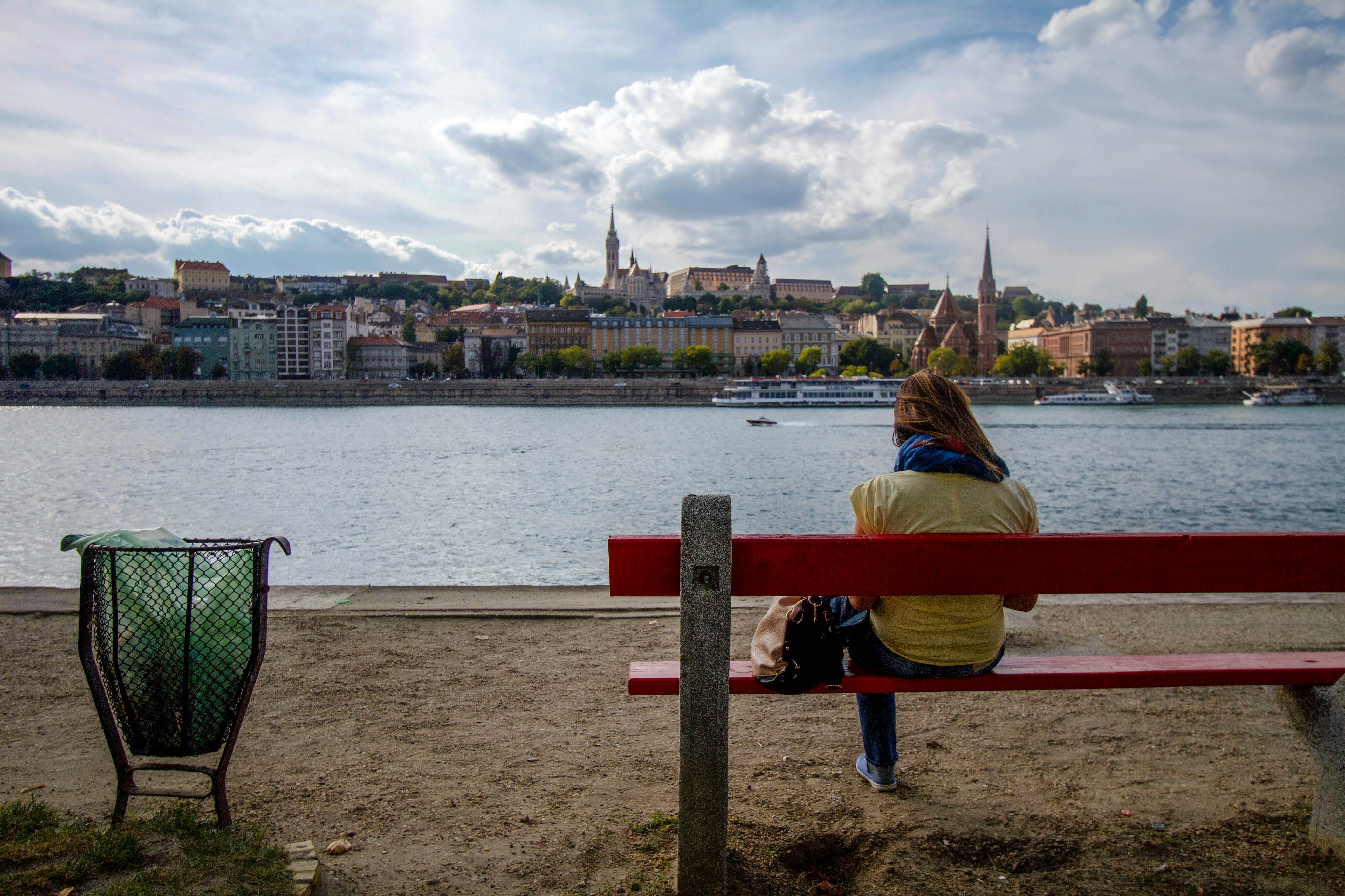 Red Bench, Quiet Riverbank: A Moment of Solace with a Cityscape