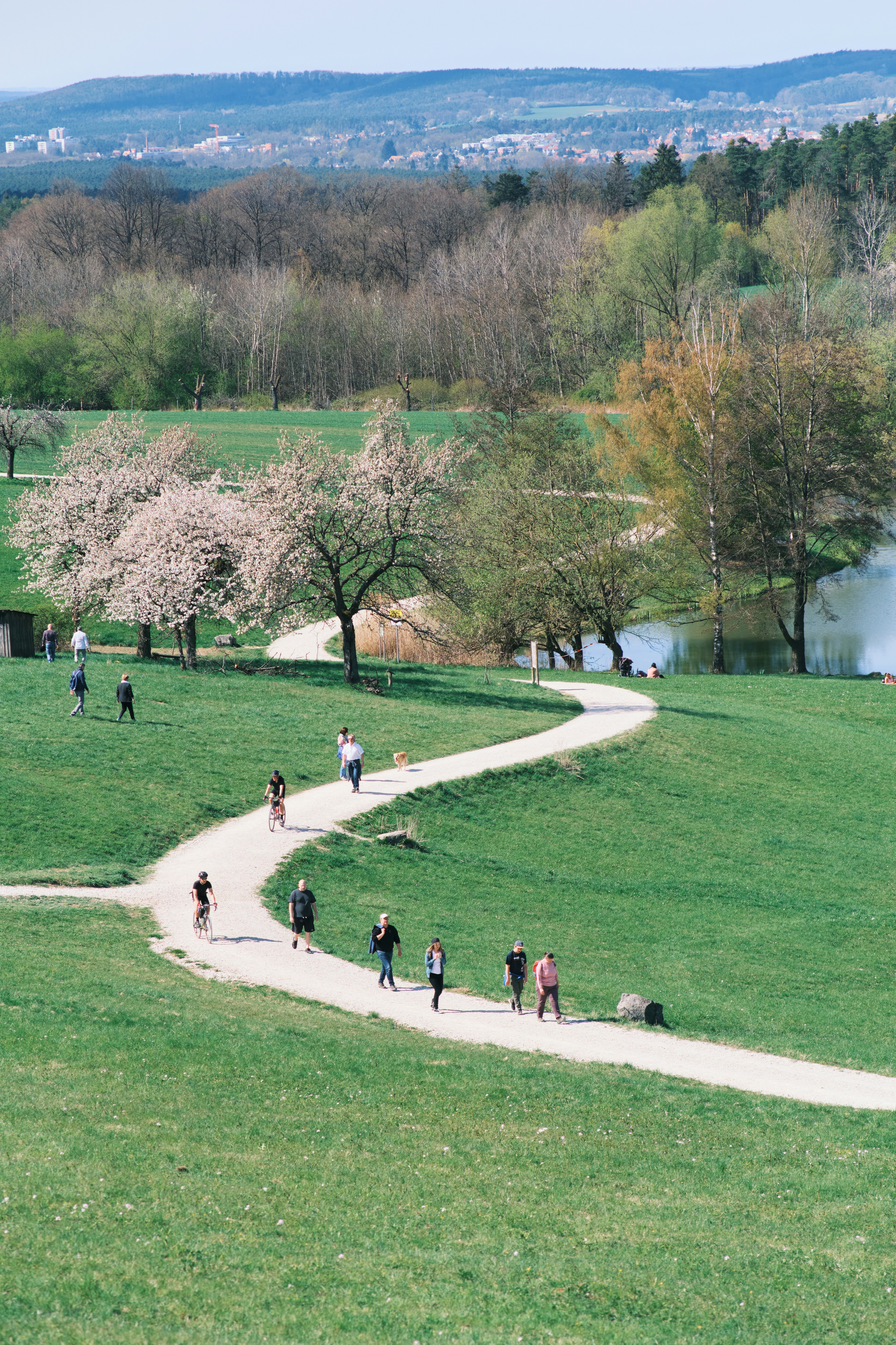 A group of people walking down a path in a park photo – Free Grey Image ...
