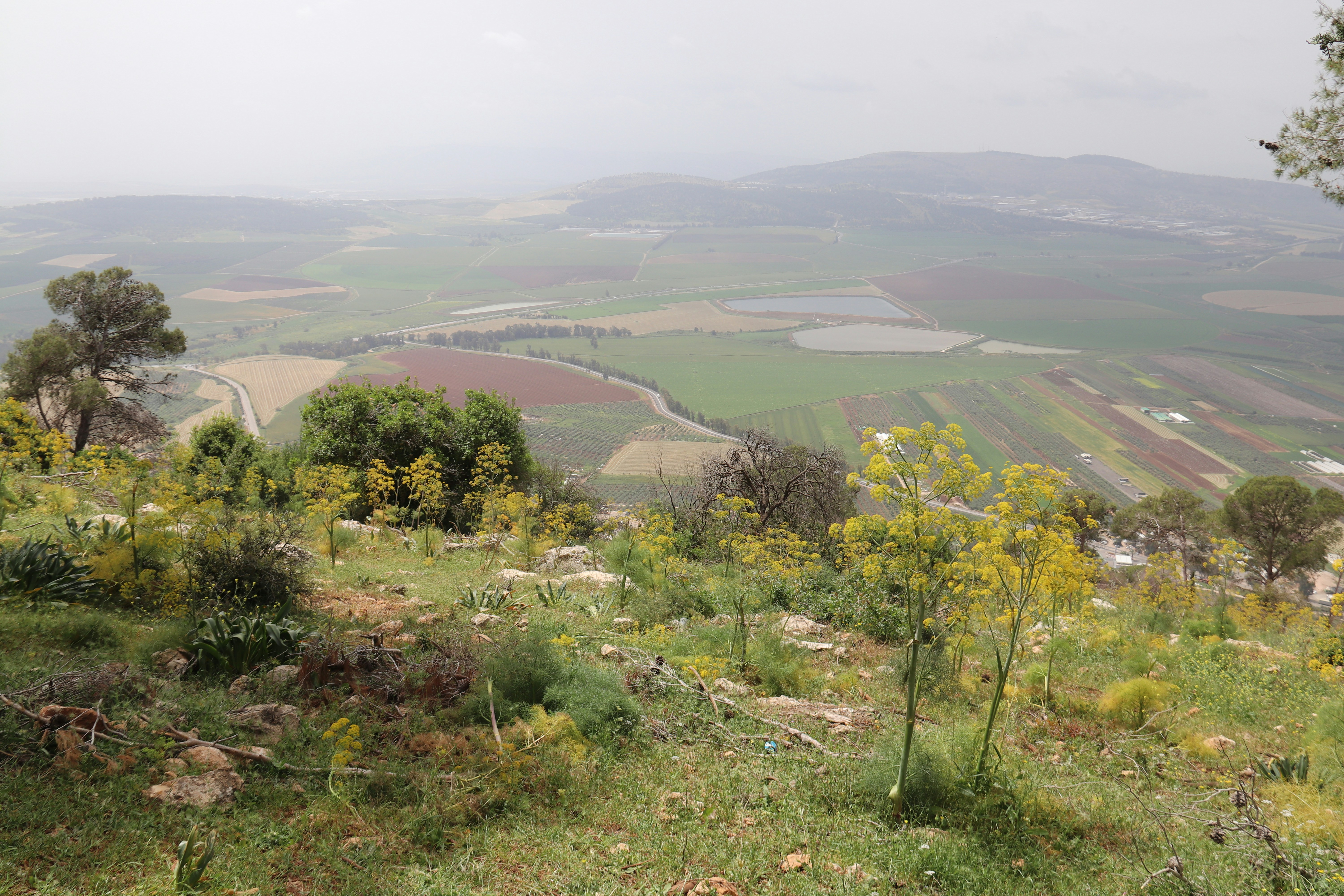 A view of a valley from a hill photo – Free Mount tabor Image on Unsplash