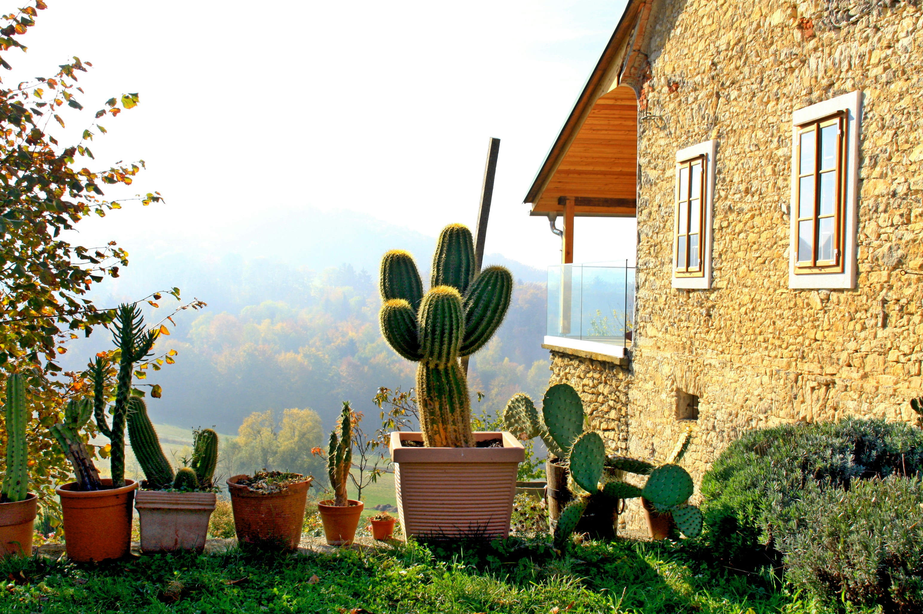 Terracotta Pots on a Sunlit Terrace Beside a Rustic Stone Villa