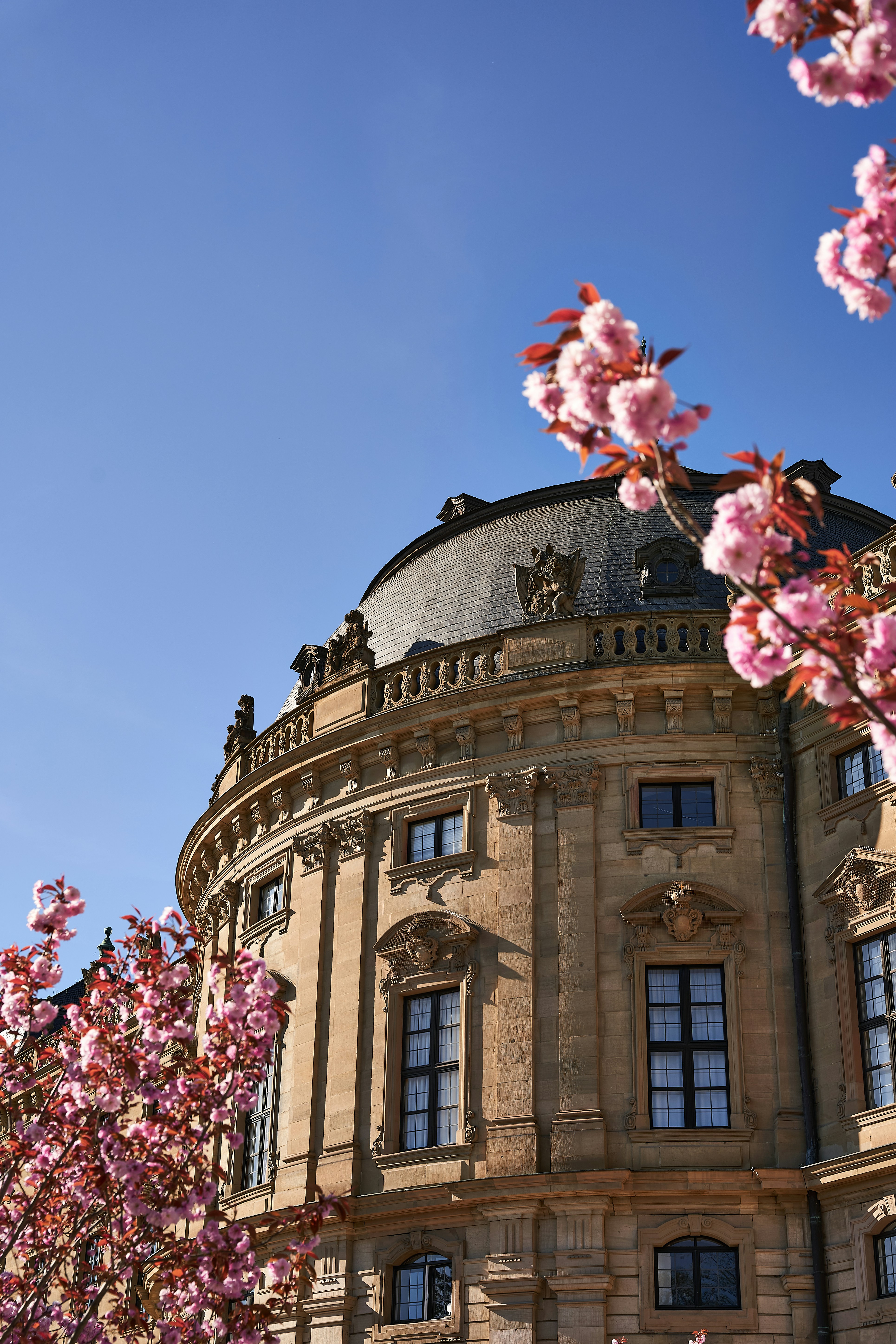 A building with pink flowers on a sunny day photo – Free Street ...