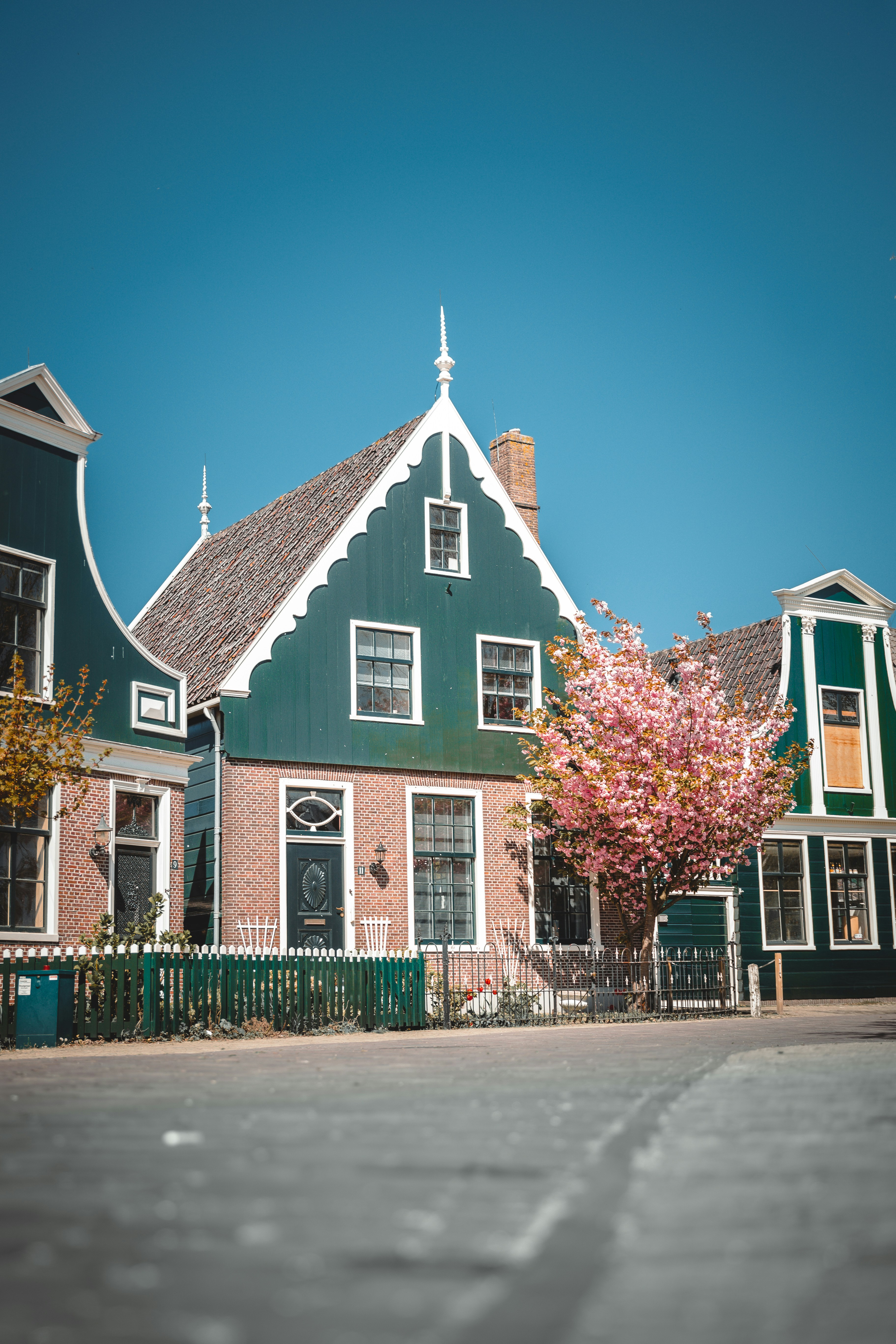 Teal Gables and Pink Blossom on a Dutch-Style Street