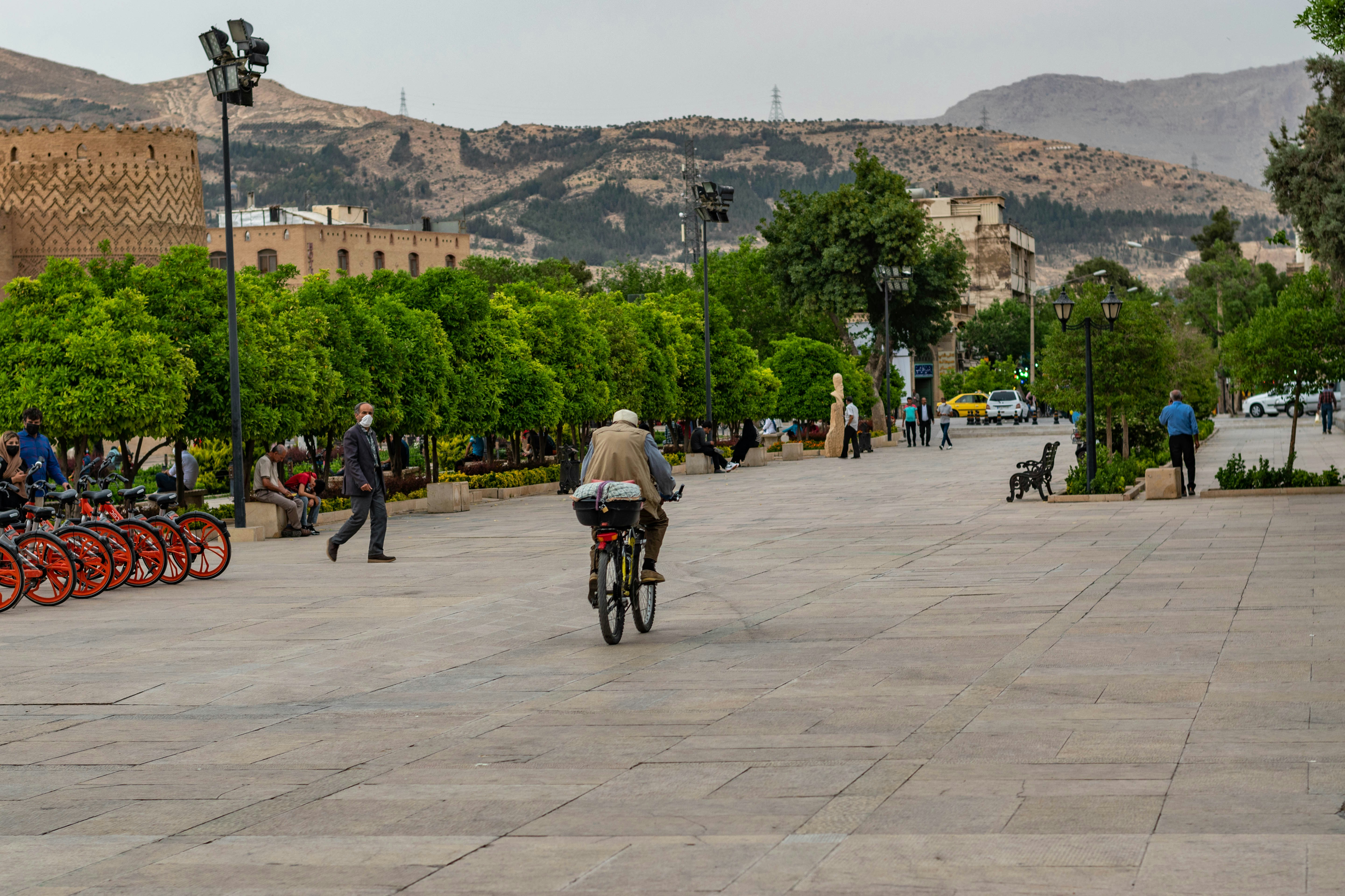 Elderly cyclist traversing a tree-lined square with distant mountains in the background.