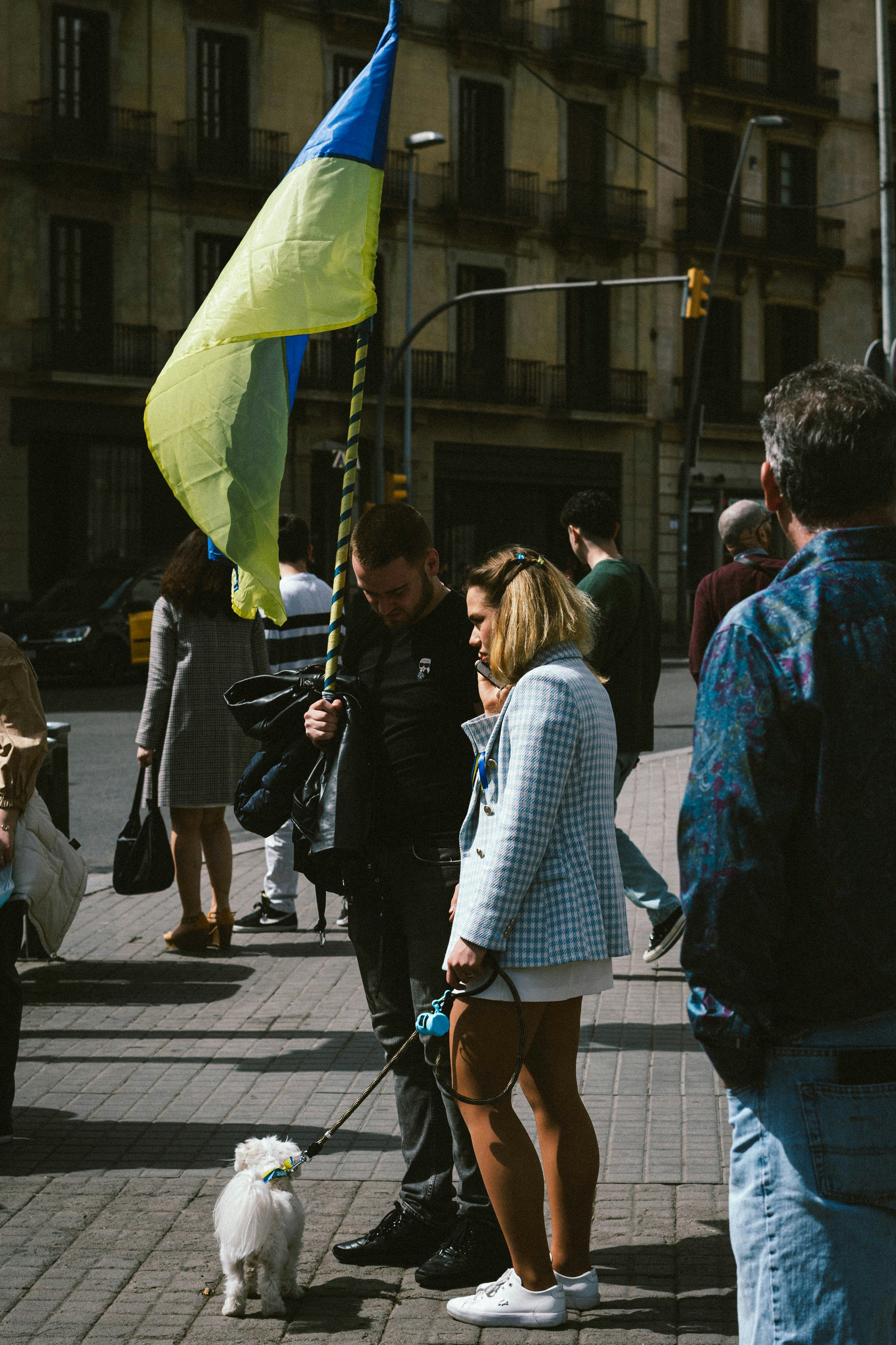 a person holding a flag and a dog on a sidewalk