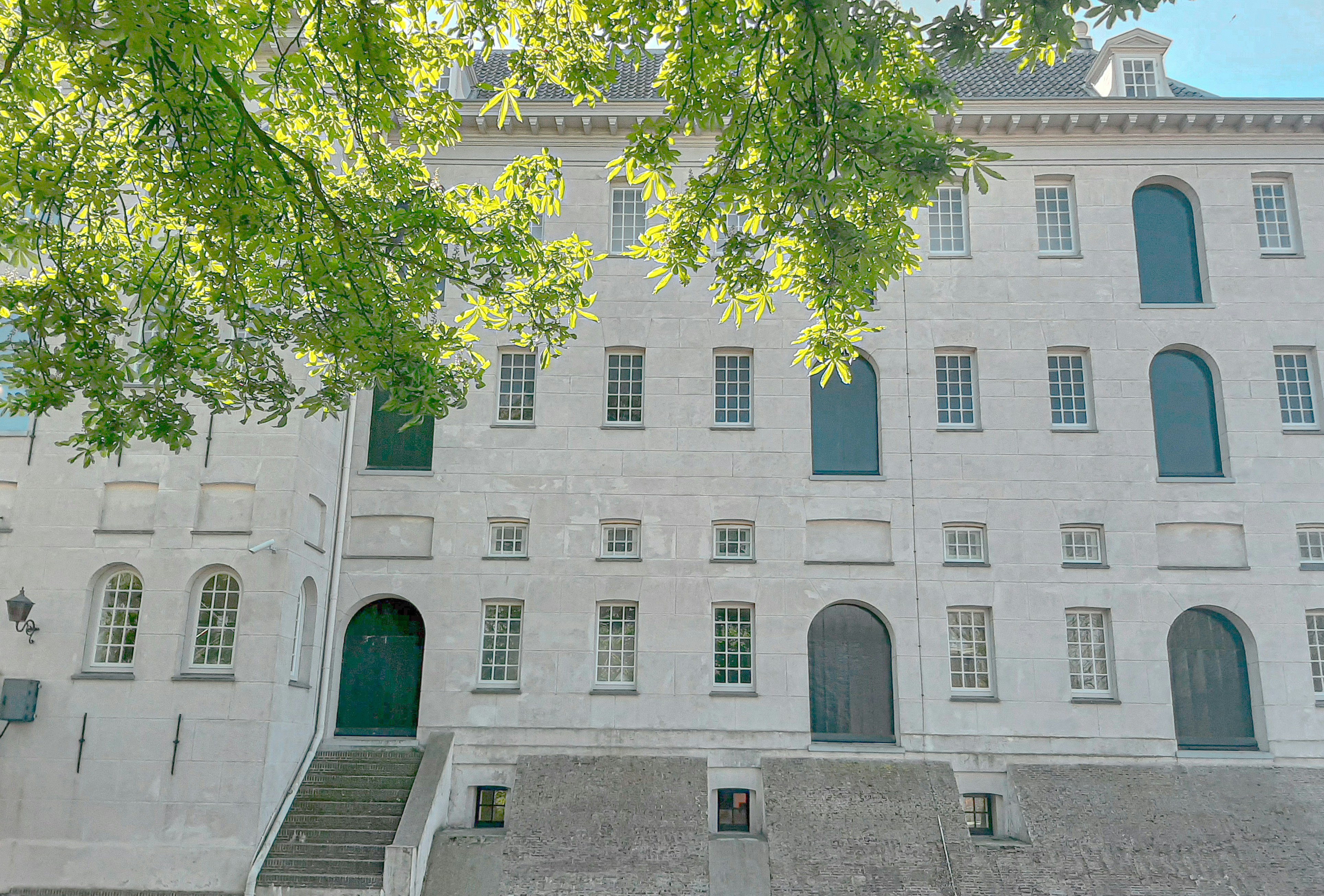 Sunlit Facade Beneath Verdant Canopy