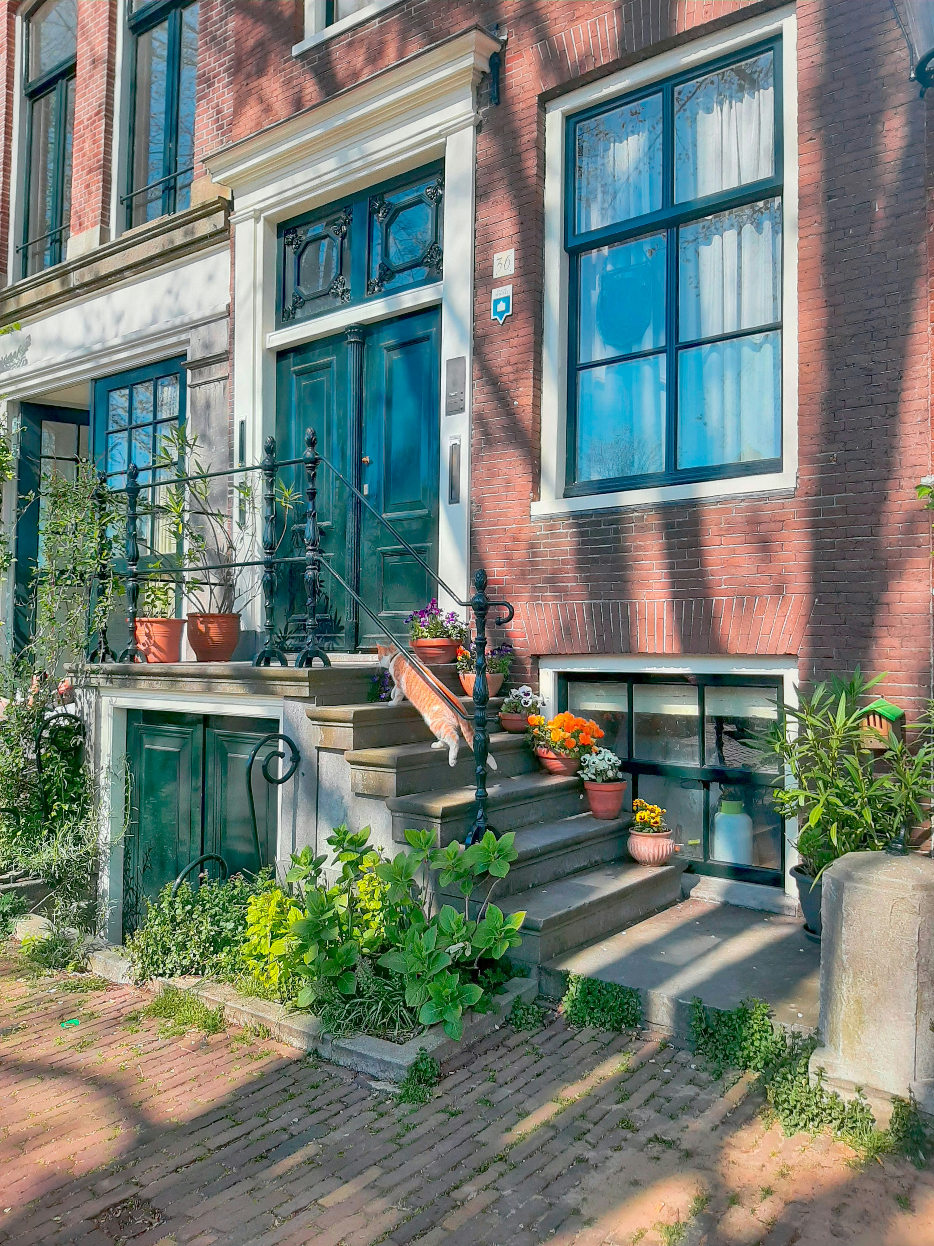 Emerald Doors on a Brick Townhouse: Morning Light, Plant-Lined Stoop