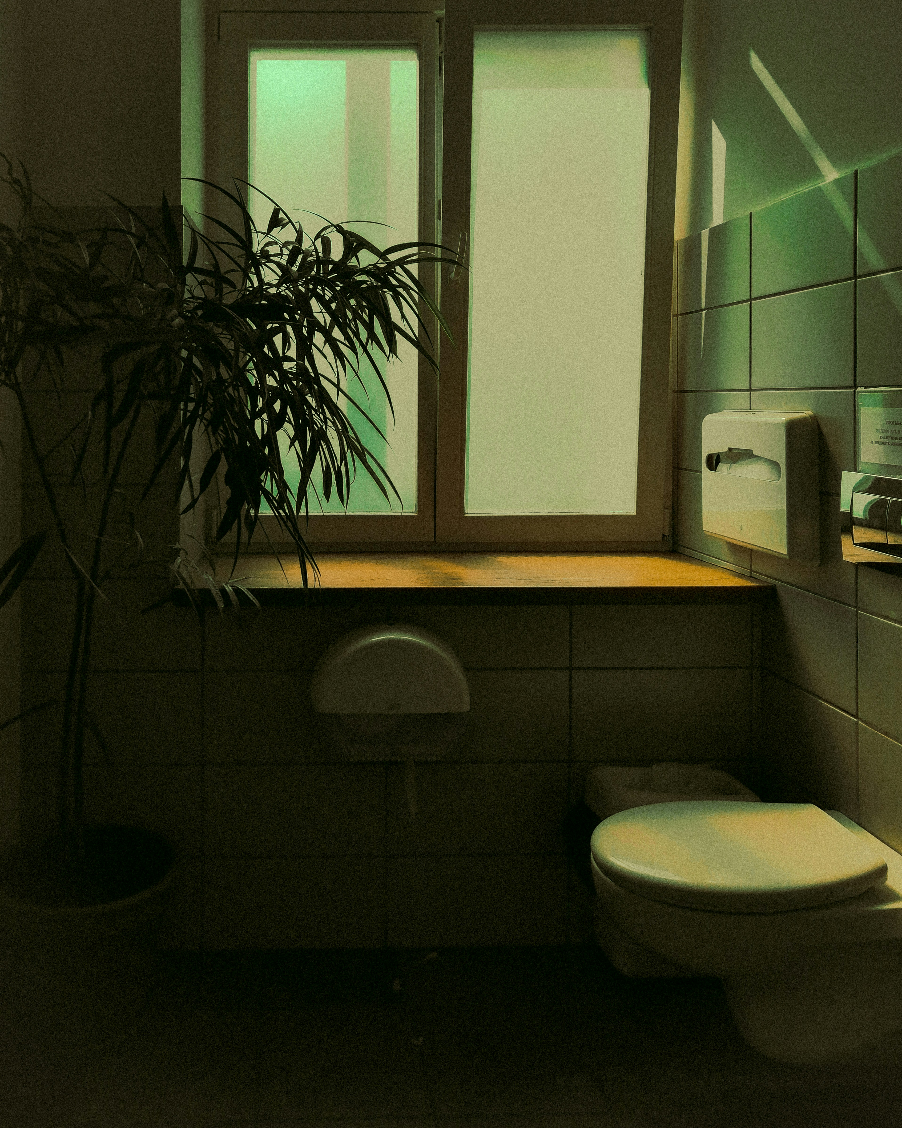 A tranquil bathroom scene featuring a potted plant, a window with frosted glass, and a minimalist toilet setup. Soft lighting enhances the peaceful atmosphere.
