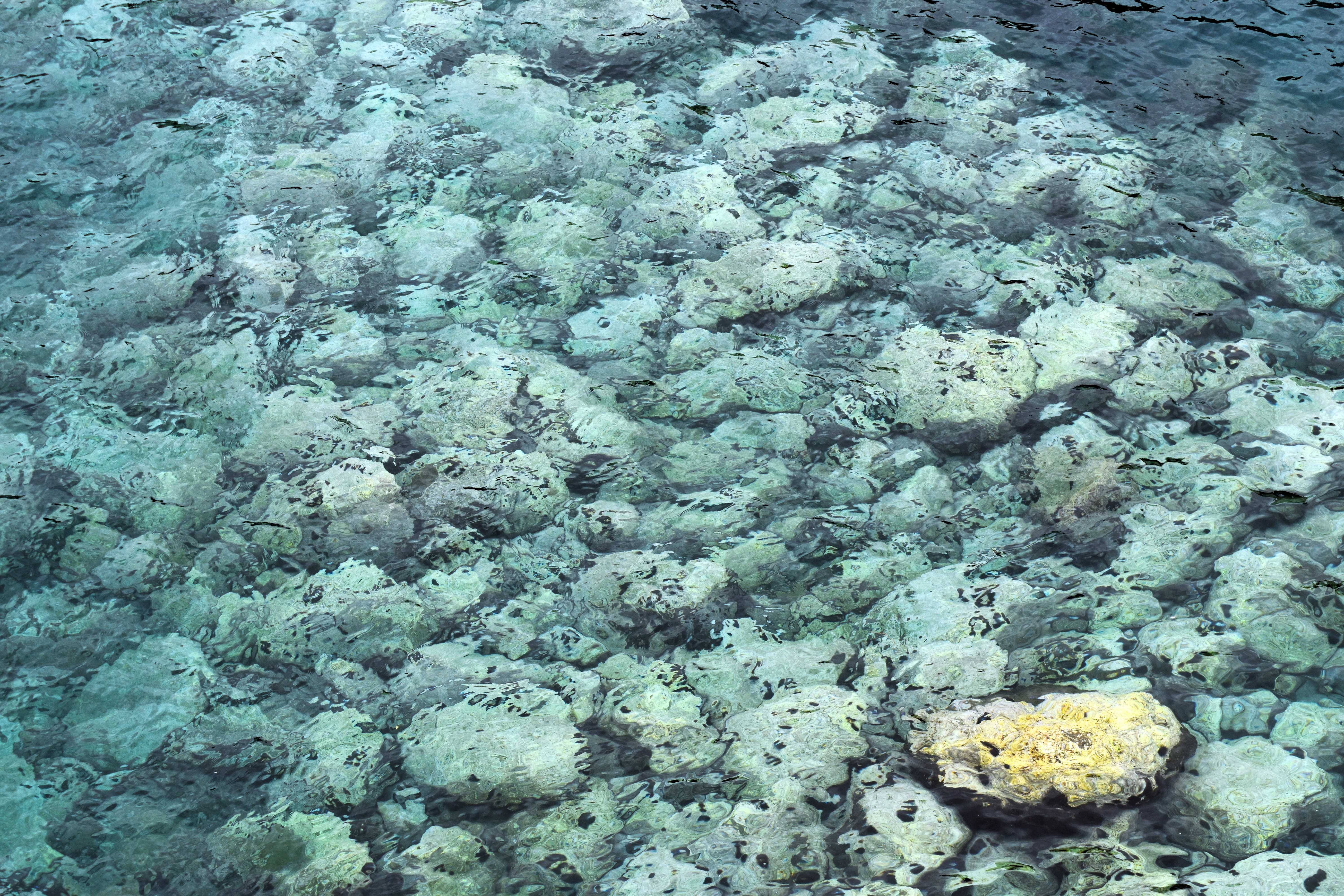 Emerald Mosaic: Sunlit Pebbles Beneath Crystal Water