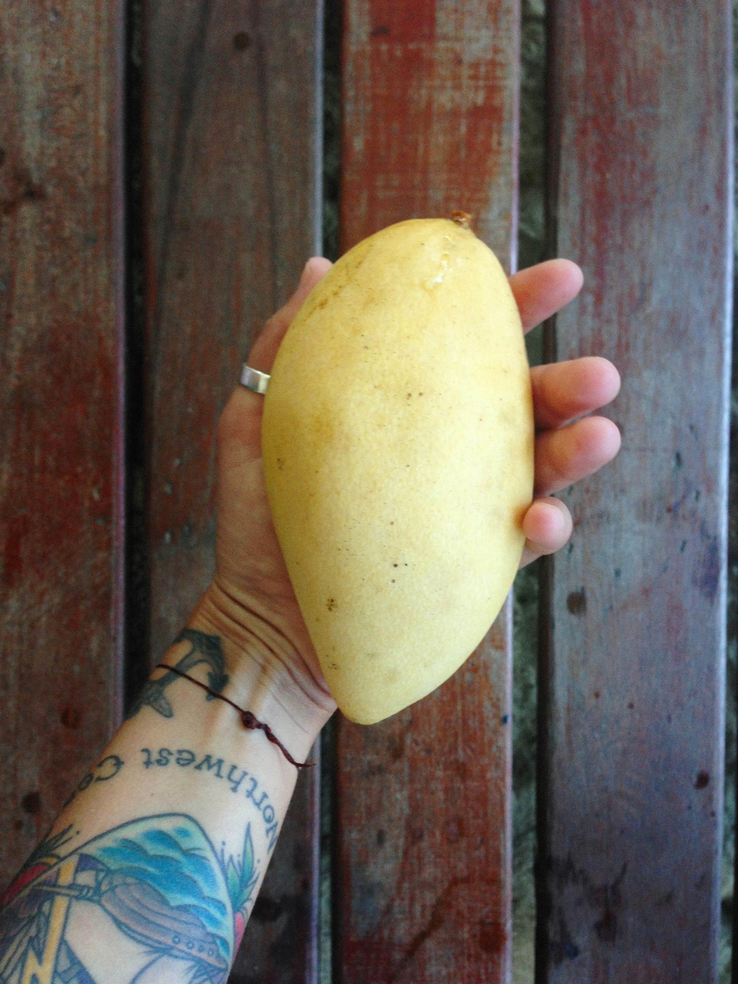 Palm-Sized Mango in a Tattooed Hand: Warm Yellow on Weathered Wood