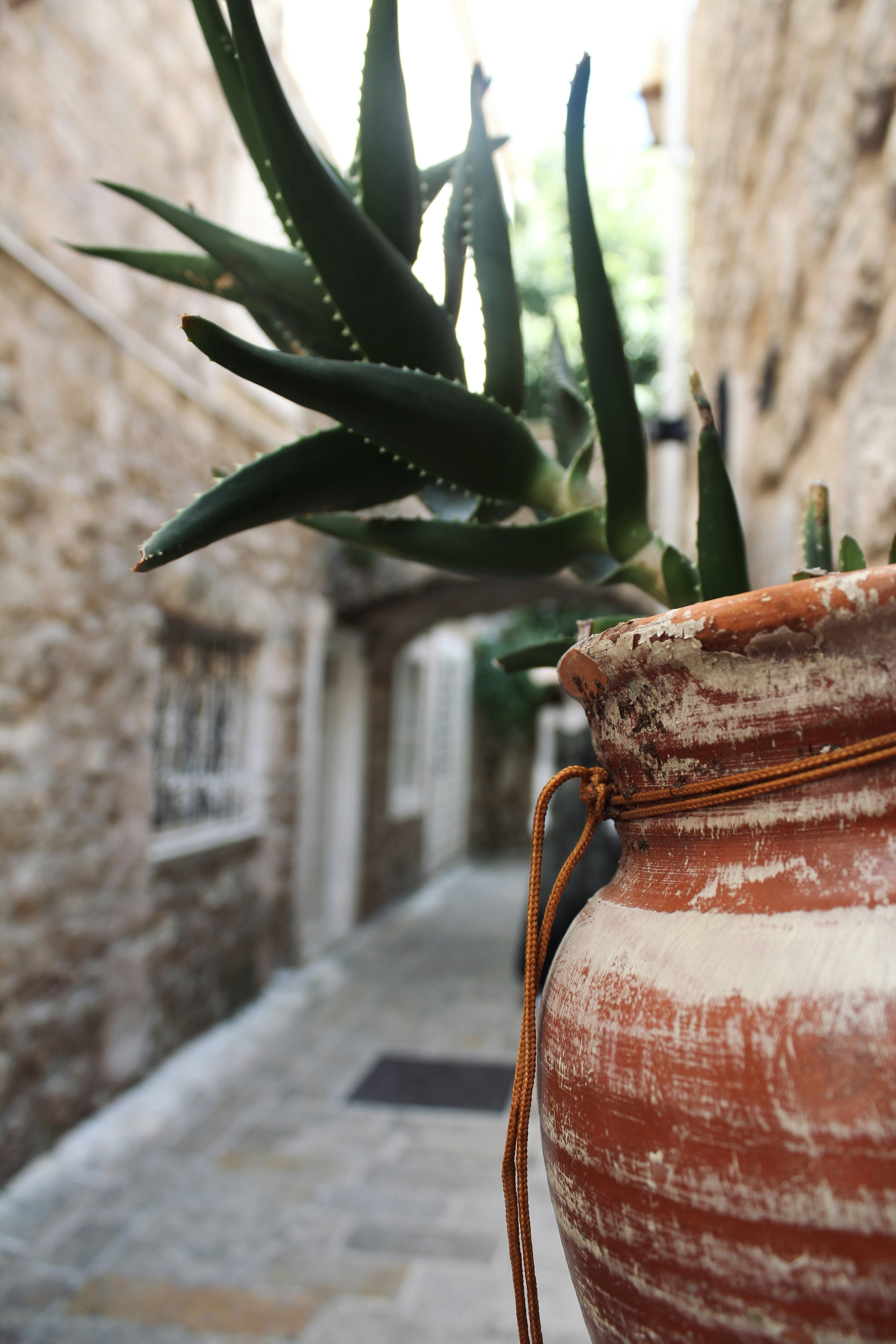 Whispers of the Ancient Alley