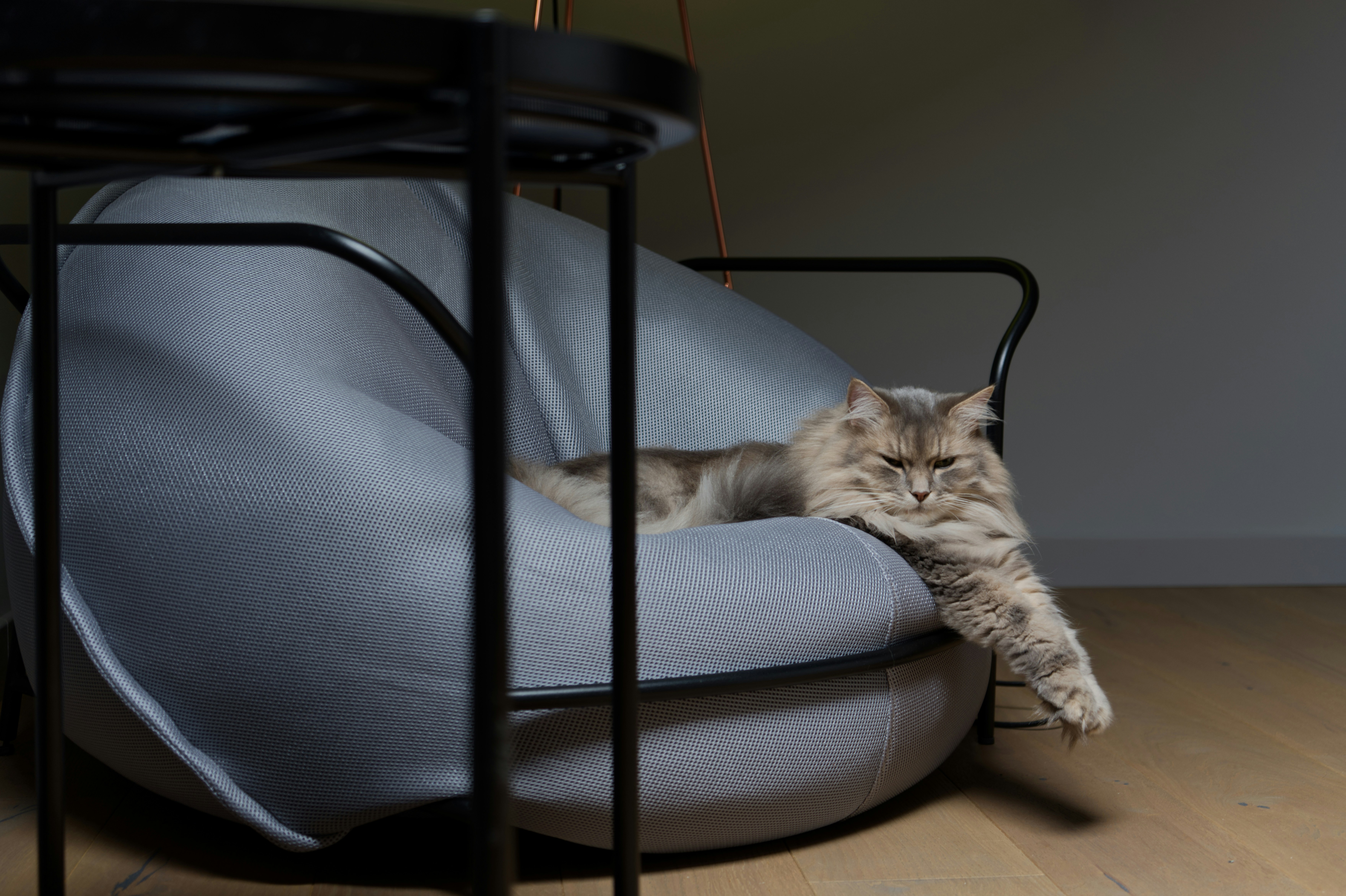 The Relaxed Observer