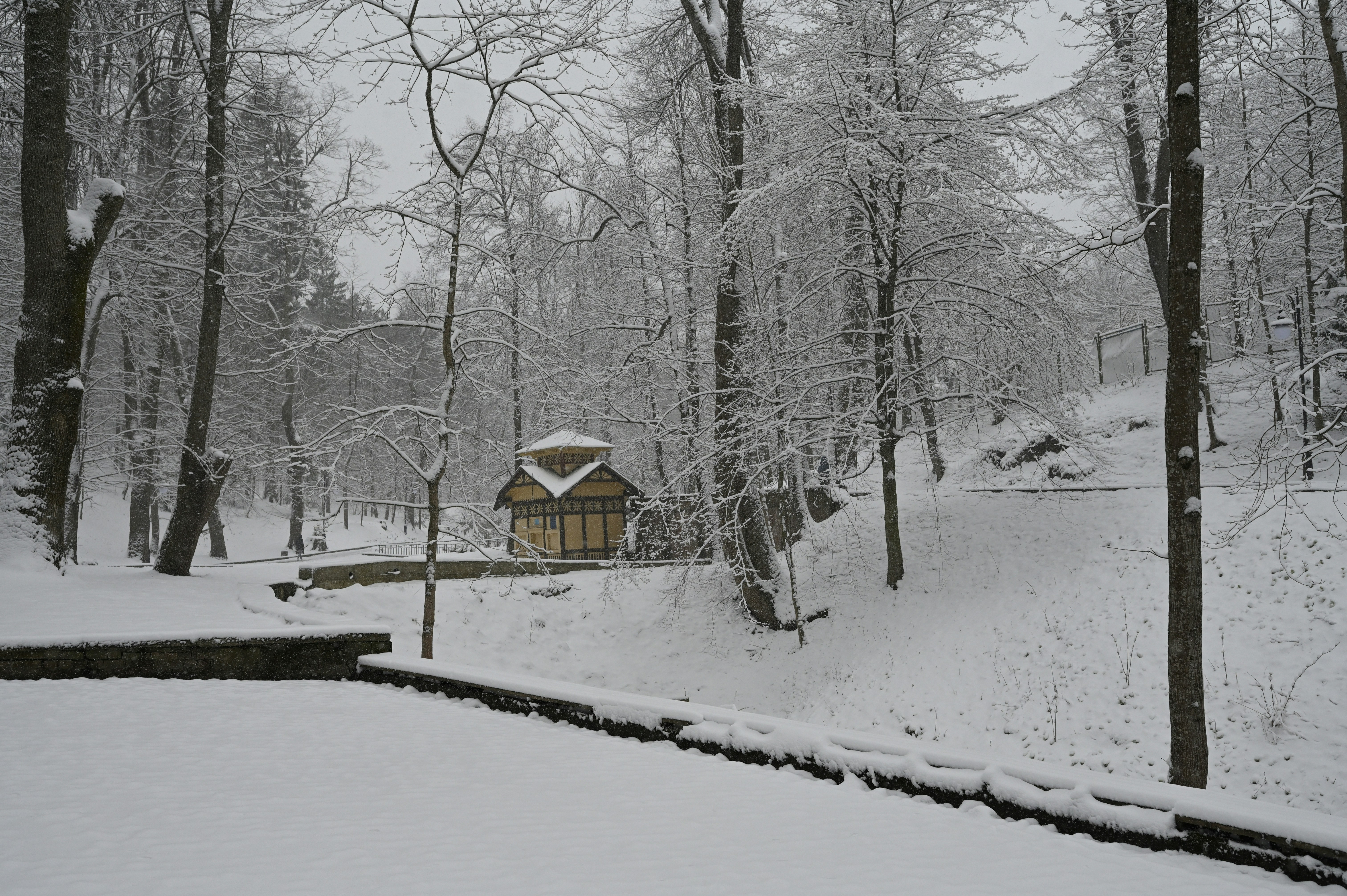 A small building in a snowy forest photo – Free Truskavets Image on ...