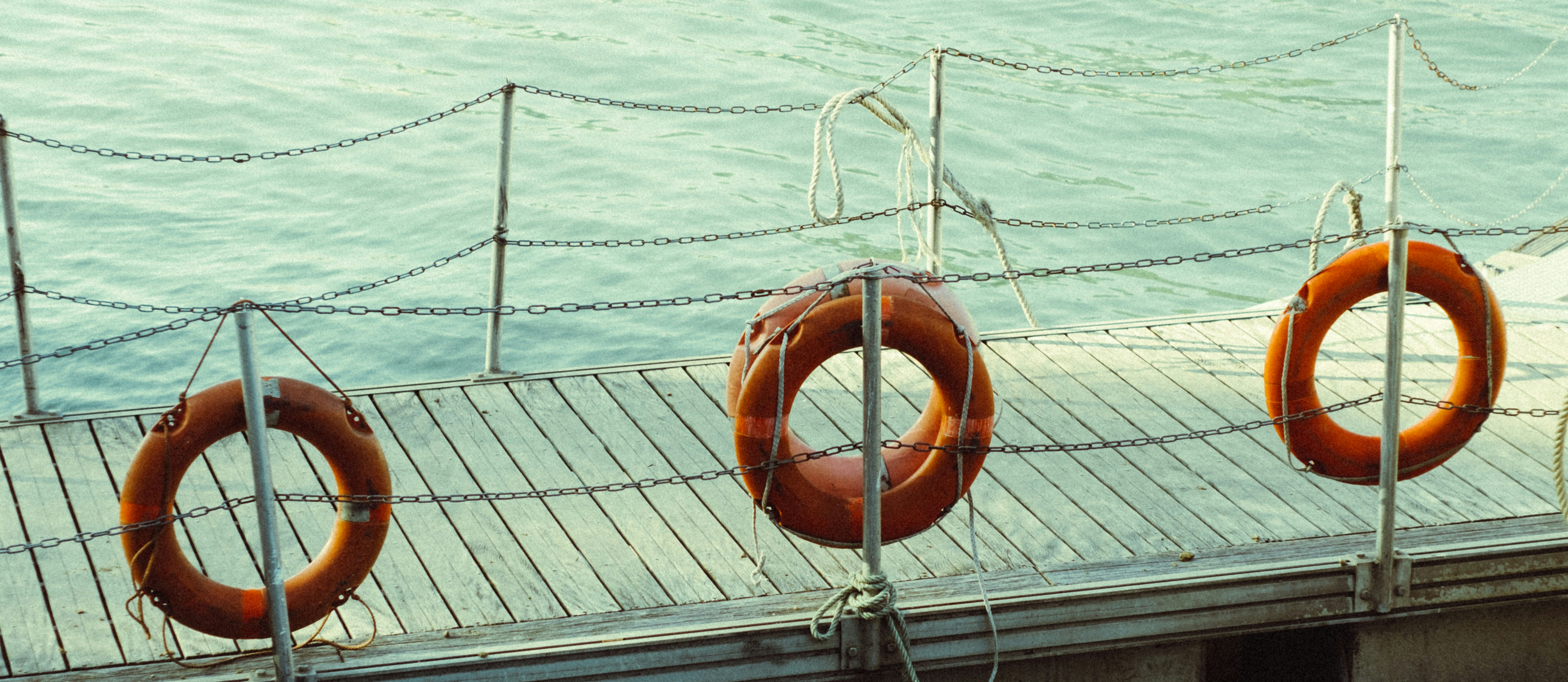A group of orange and white objects on a metal fence photo – Free Paris ...