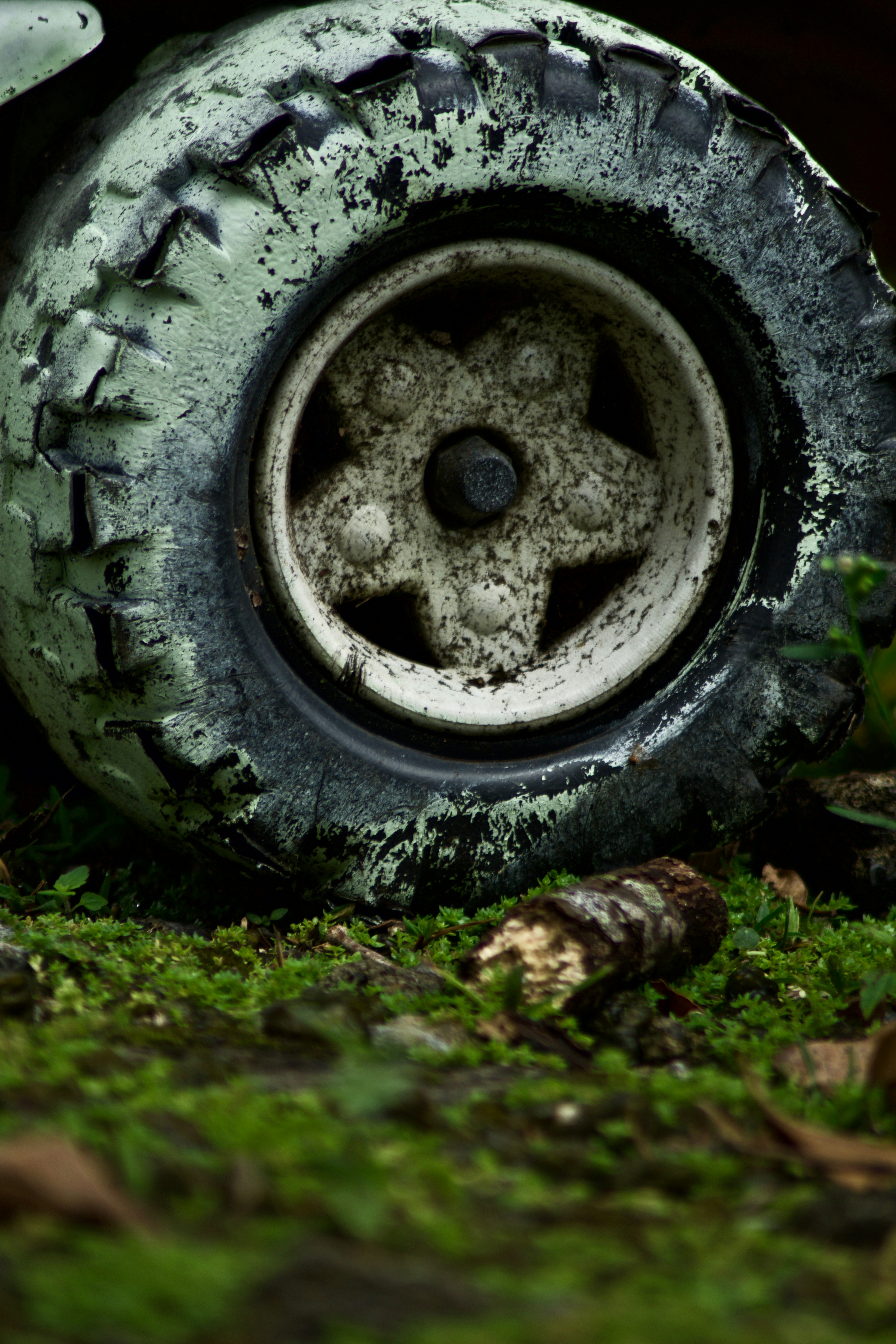 Close-up of a weathered toy wheel resting on lush green moss, highlighting the contrast between man-made materials and natural surroundings.