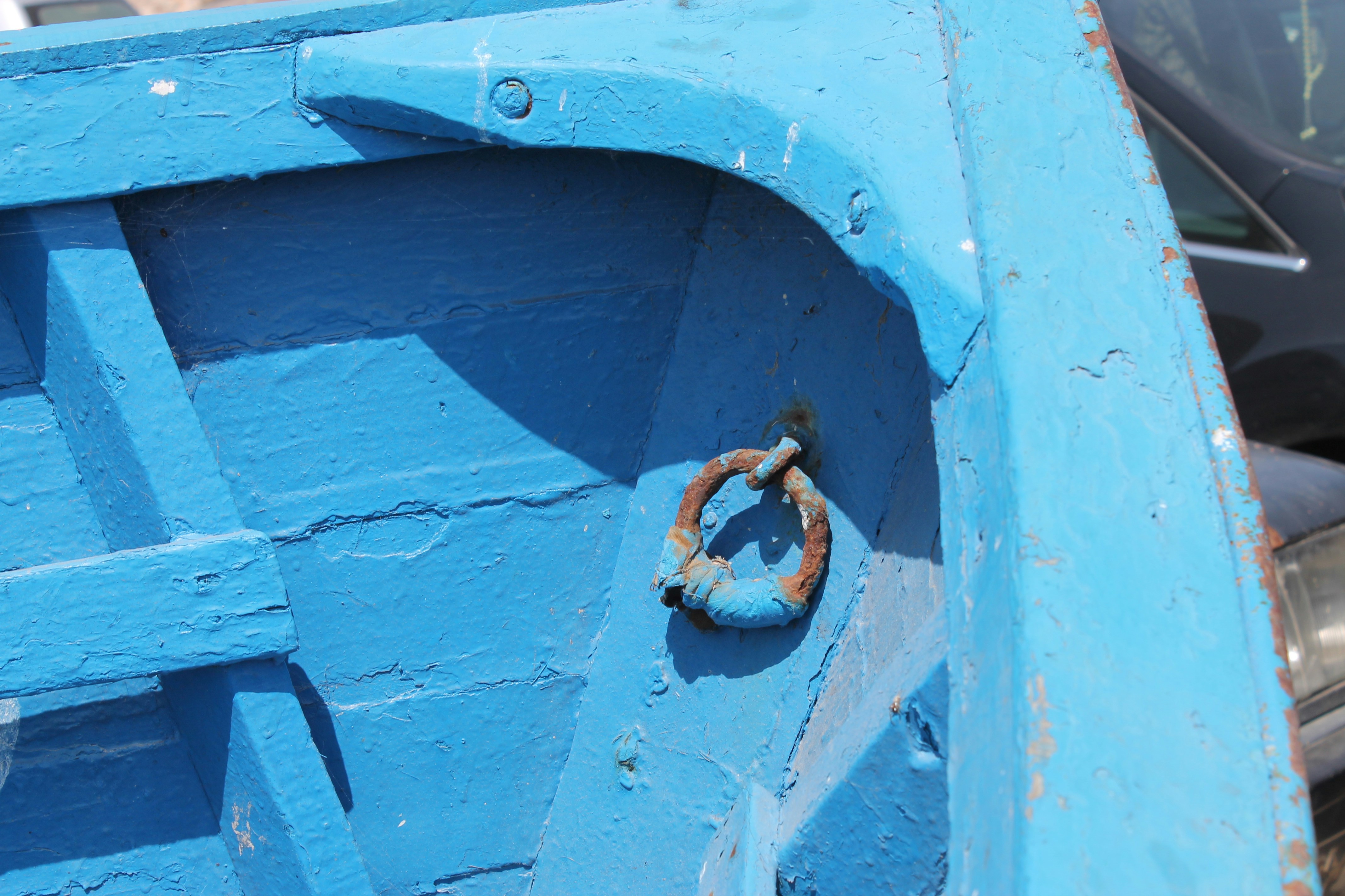 a bee on a blue car