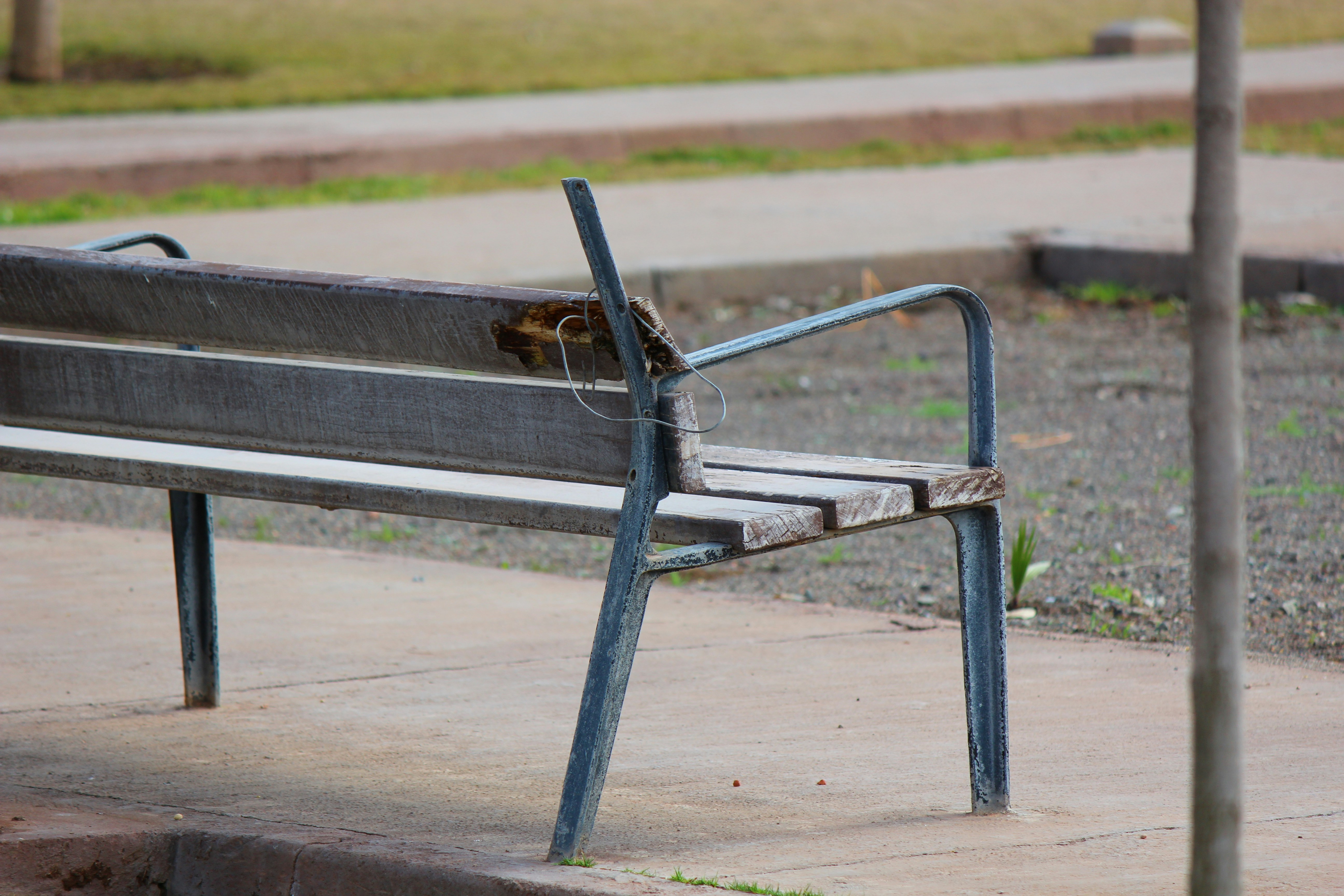a butterfly on a bench