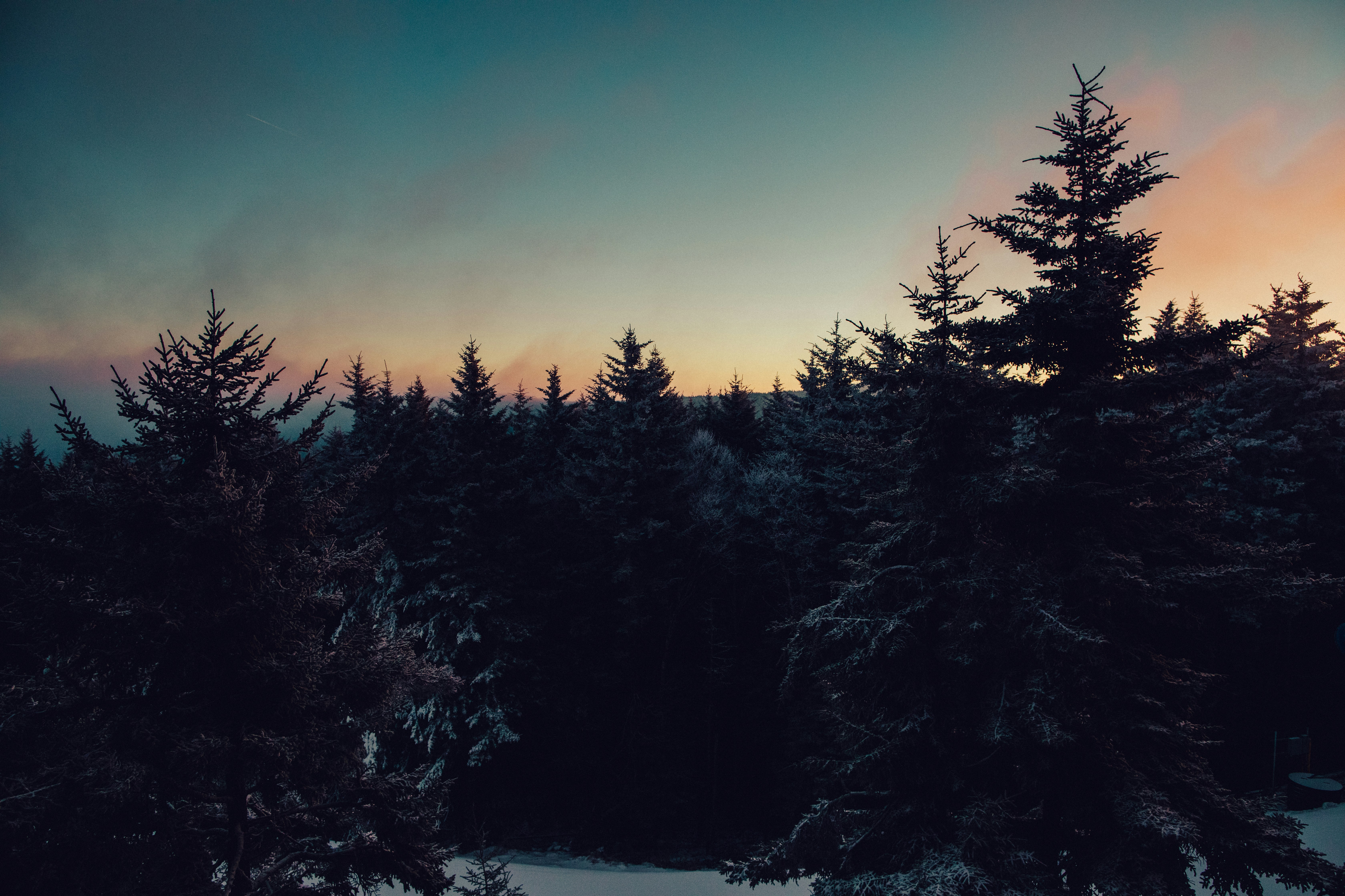 A serene winter landscape featuring snow-covered pine trees under a colorful twilight sky. The scene captures the tranquil transition from day to night.