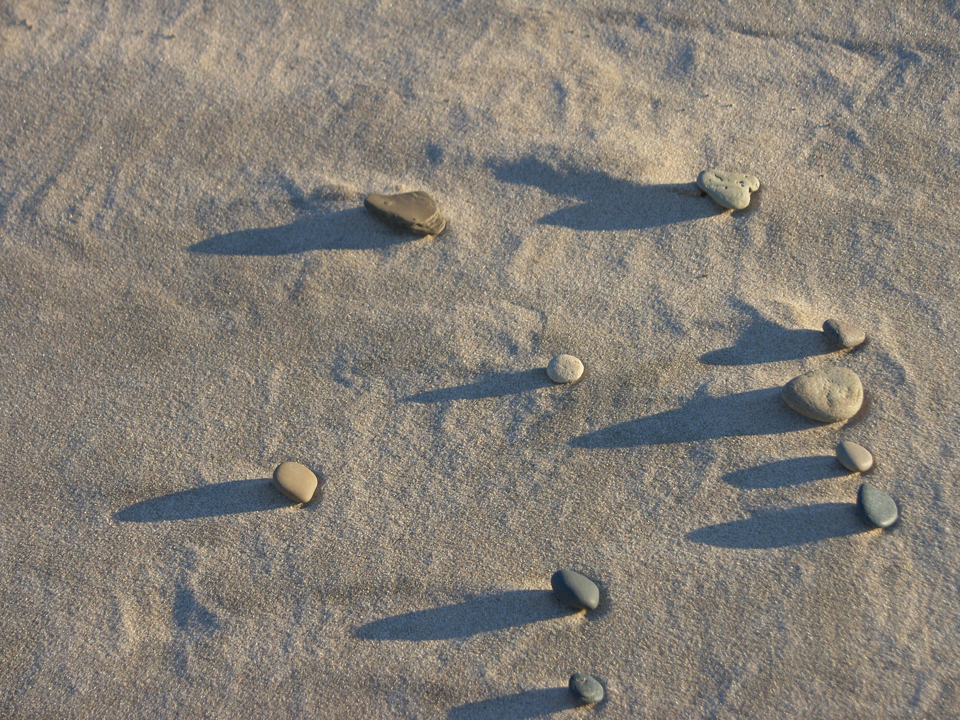 모래 위의 조개 그룹 사진 – Unsplash의 무료 인디애나 듄스 주립 공원 이미지