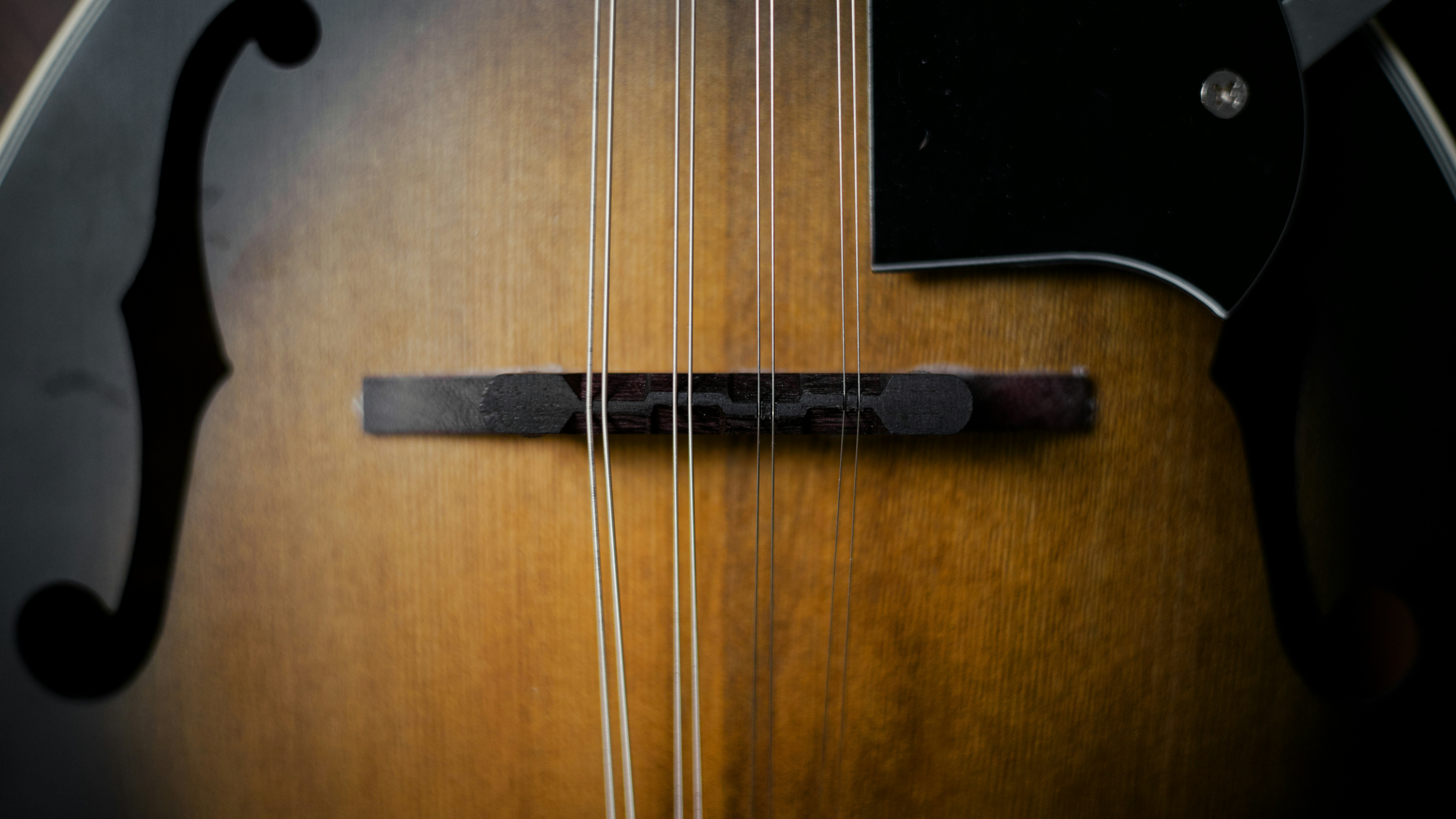Close-up of a mandolin's bridge and strings, showcasing the intricate craftsmanship and warm wood tones.