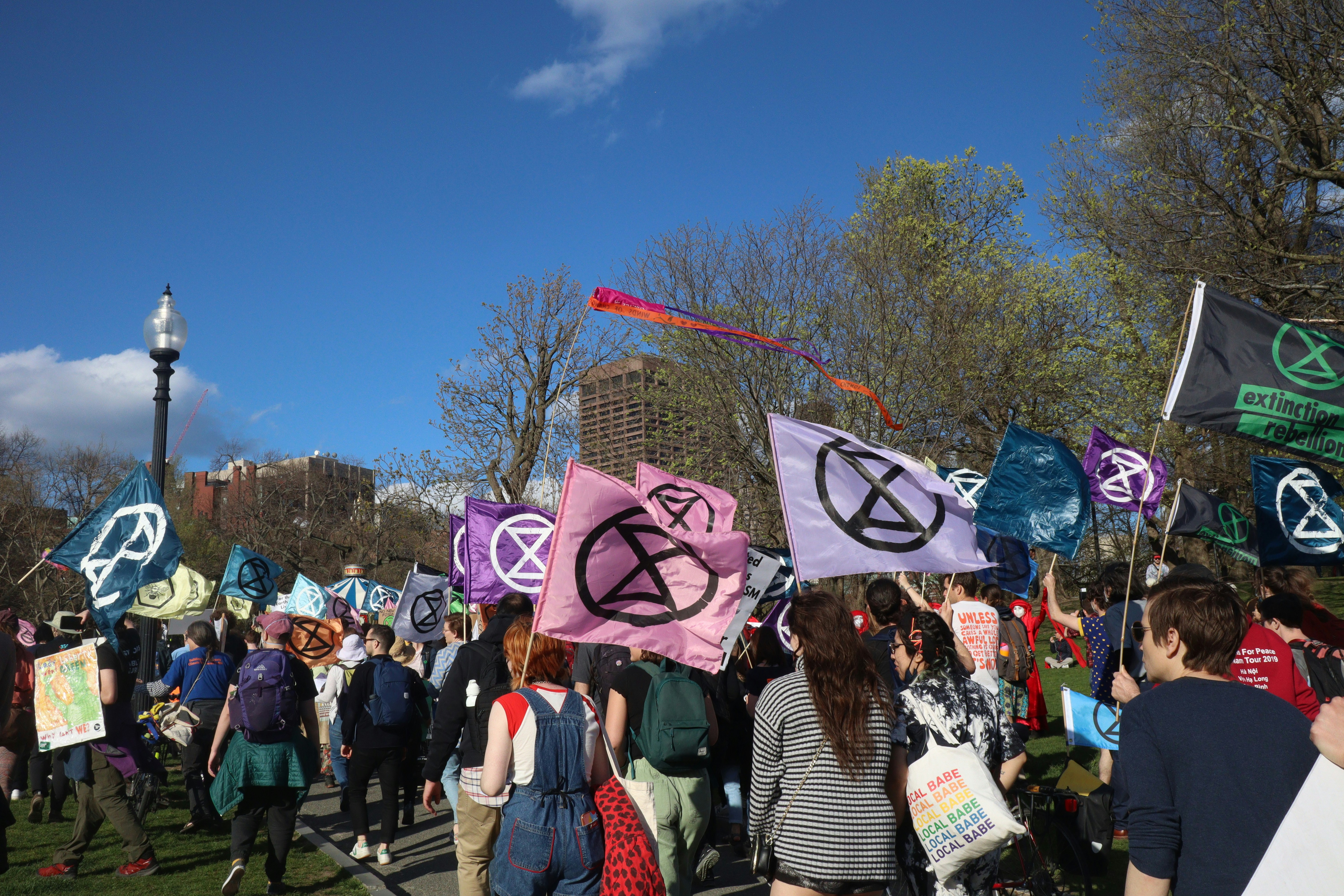 A crowd of people holding signs photo – Free Boston Image on Unsplash