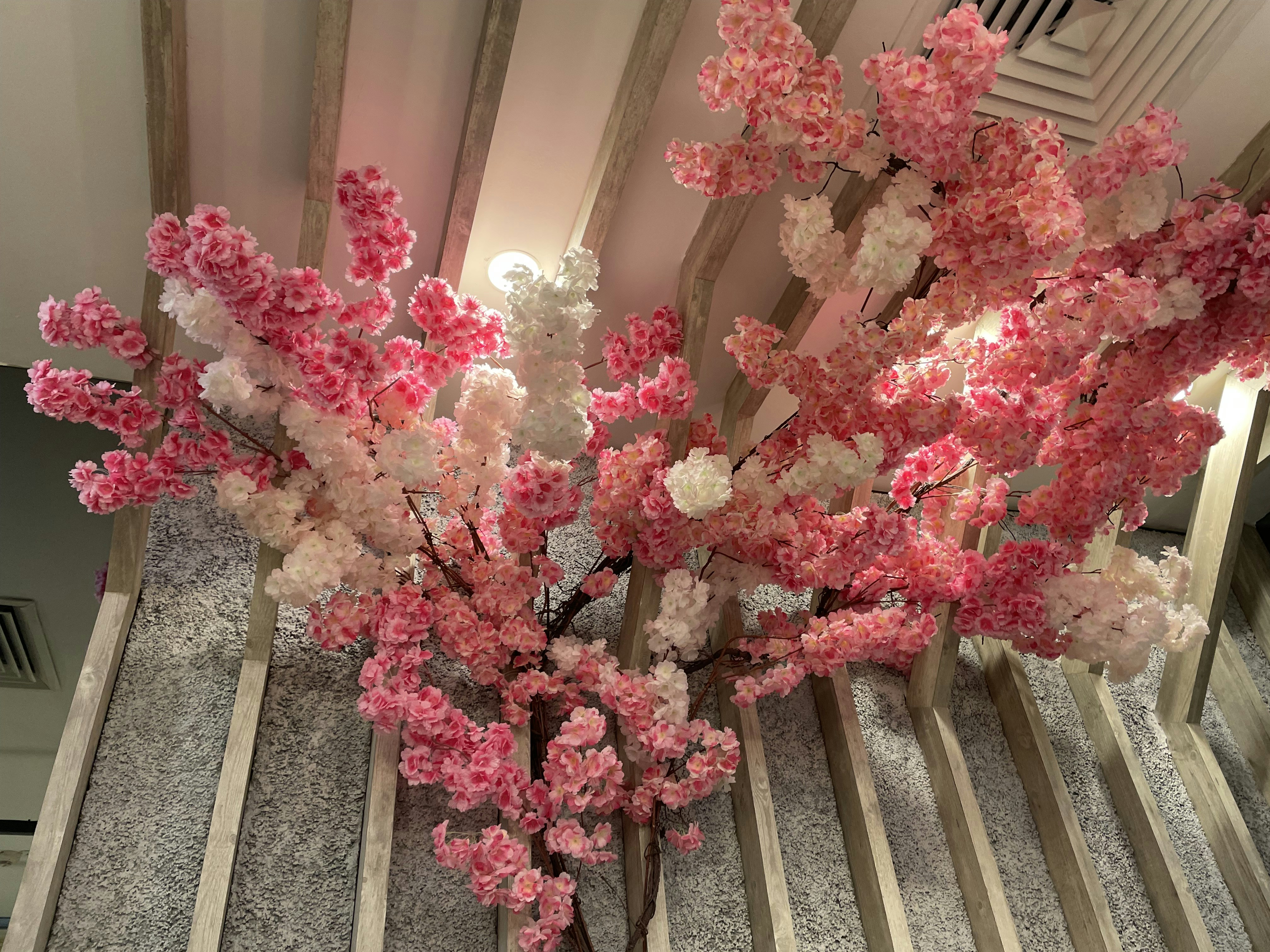 Photo by karis with Apple iPhone 12 mini