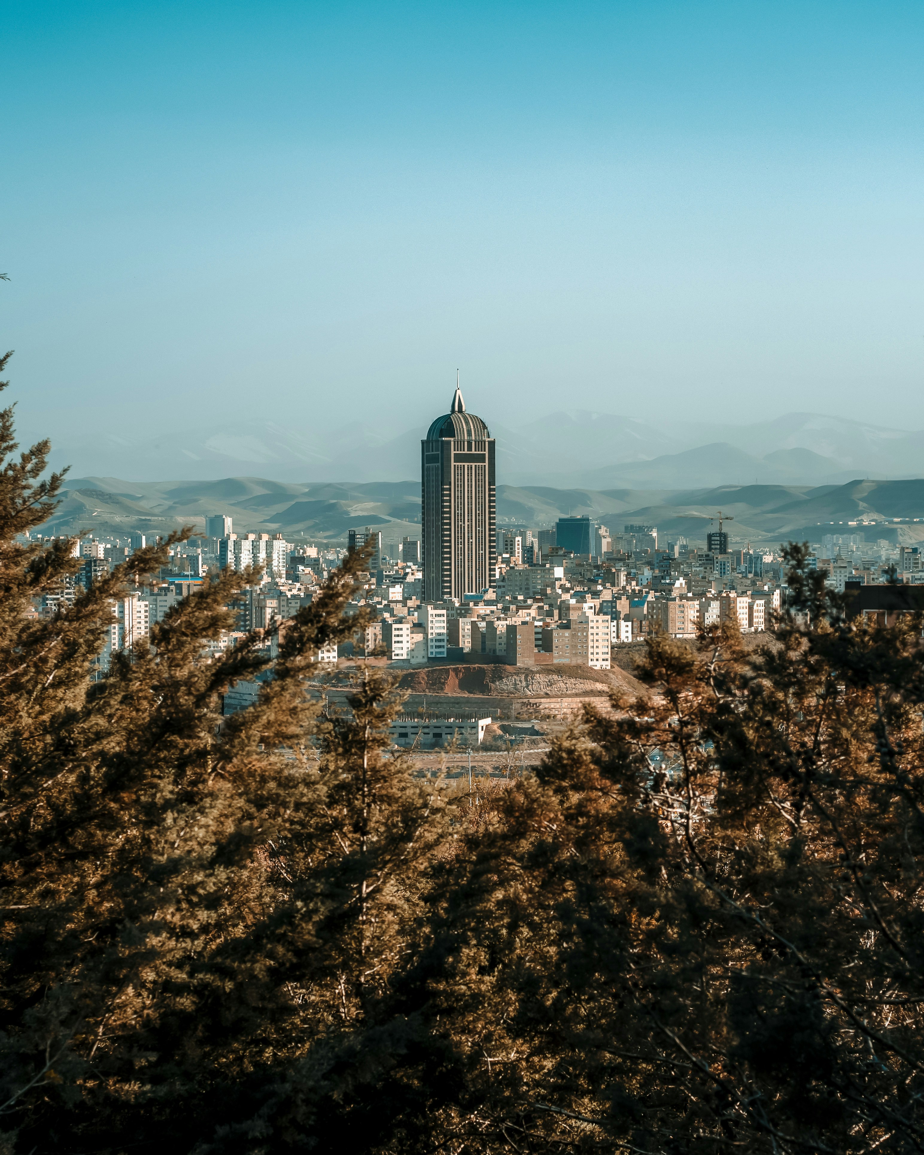 Urban Oasis: The Tower Amidst Nature's Embrace