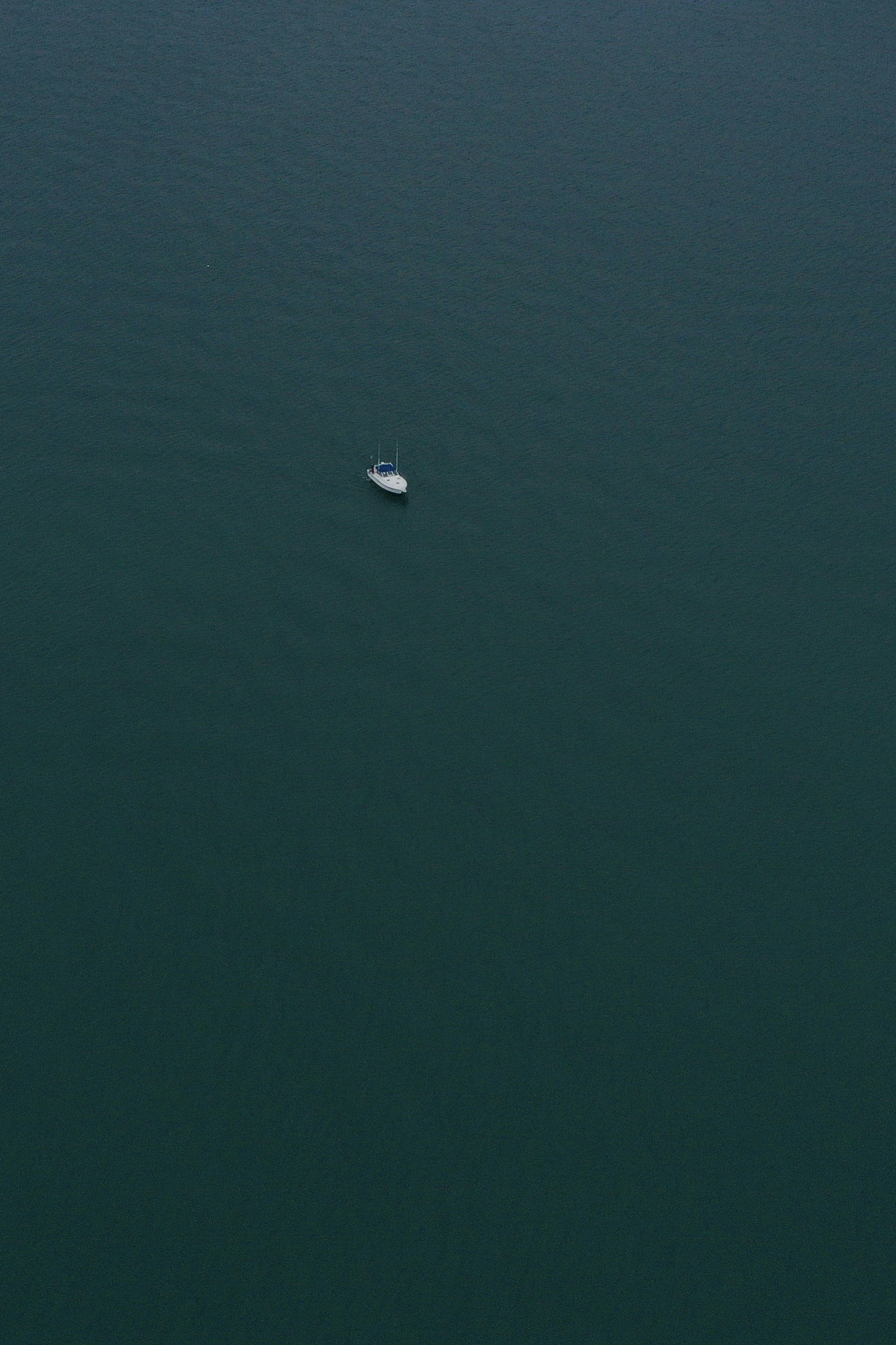 Openness Pictures | Download Free Images on Unsplash