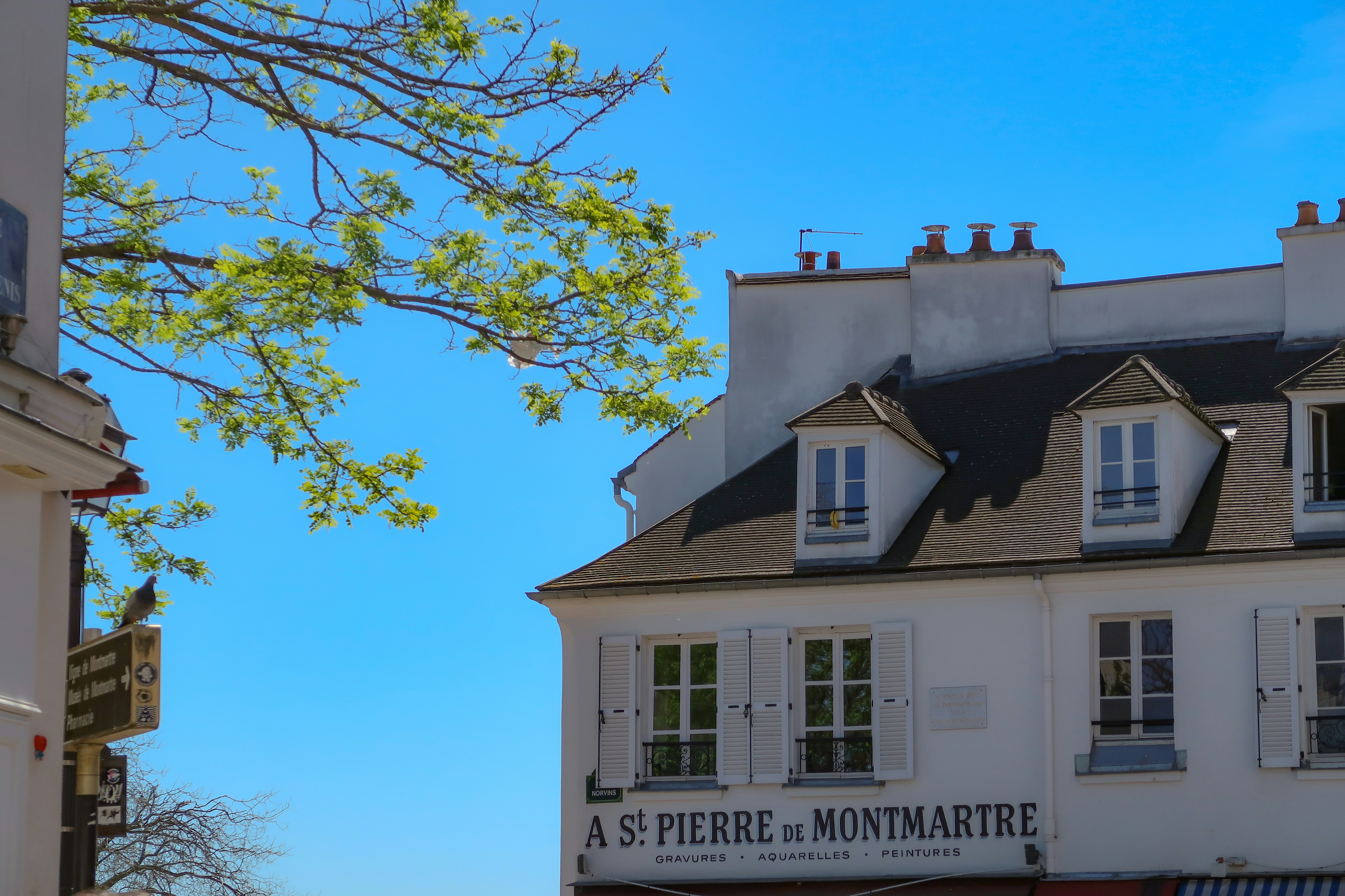 a building with a tree in the front