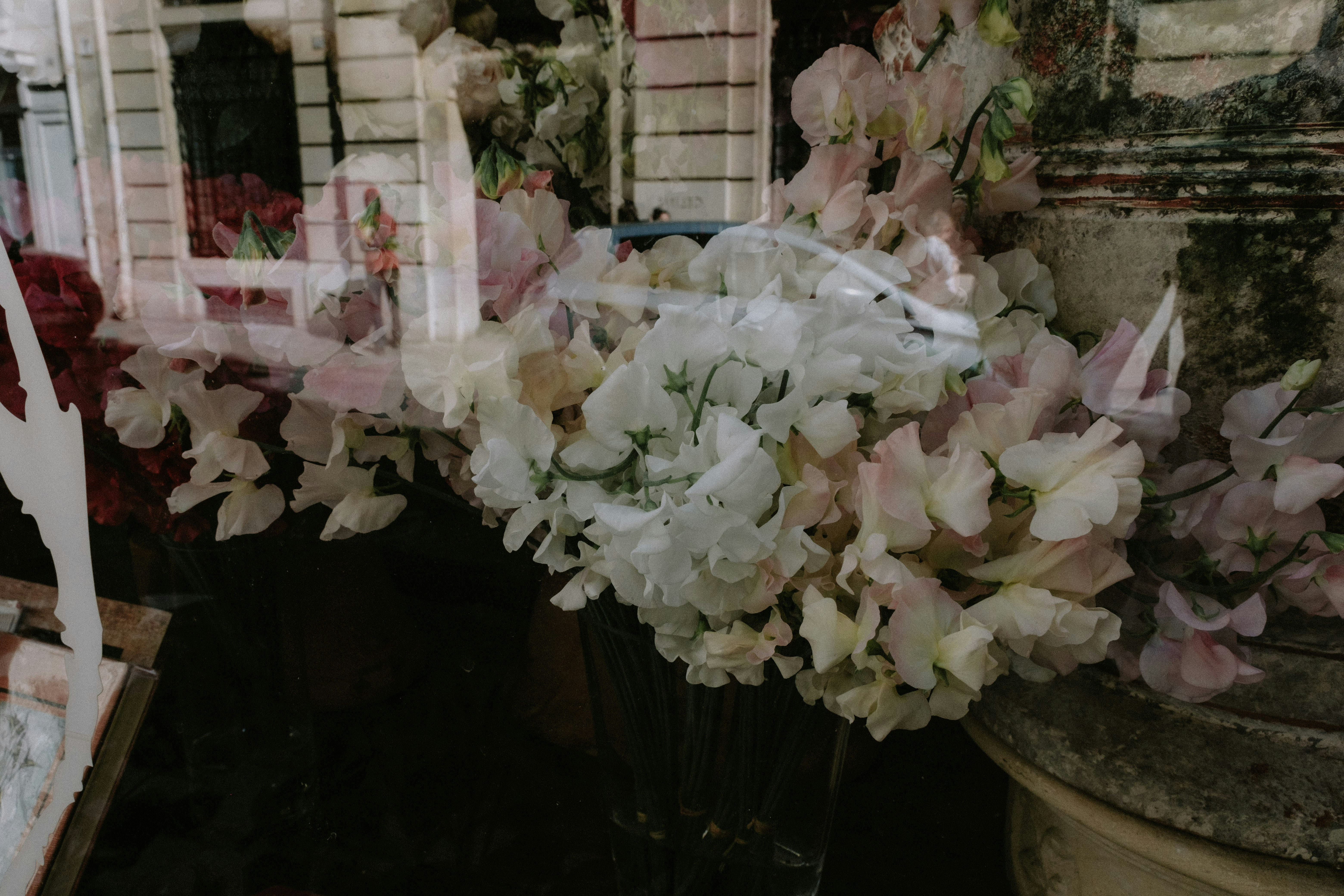 a group of flowers