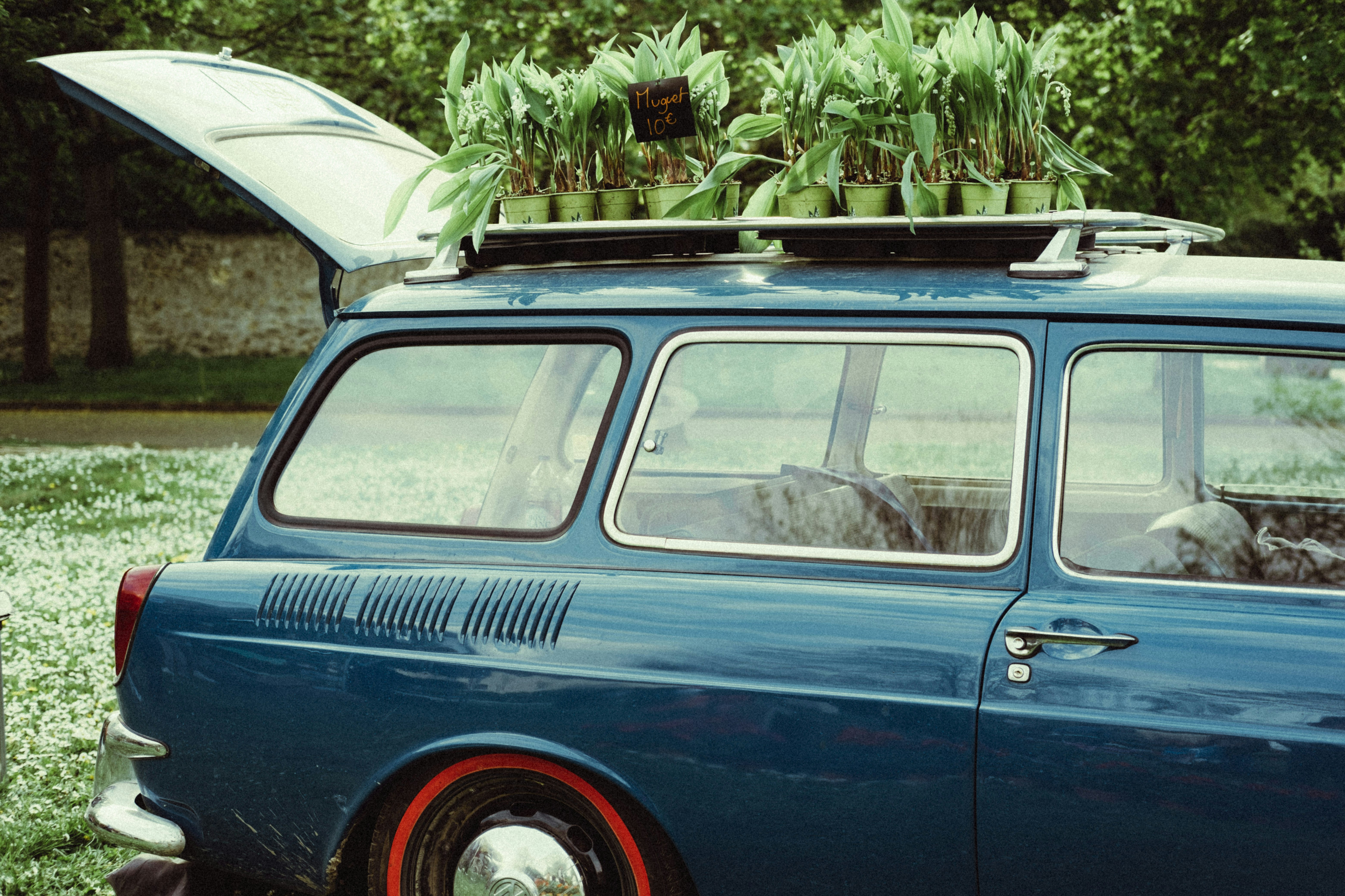 Rooftop Garden Runabout: A Blue Vintage Wagon Carries Greenery