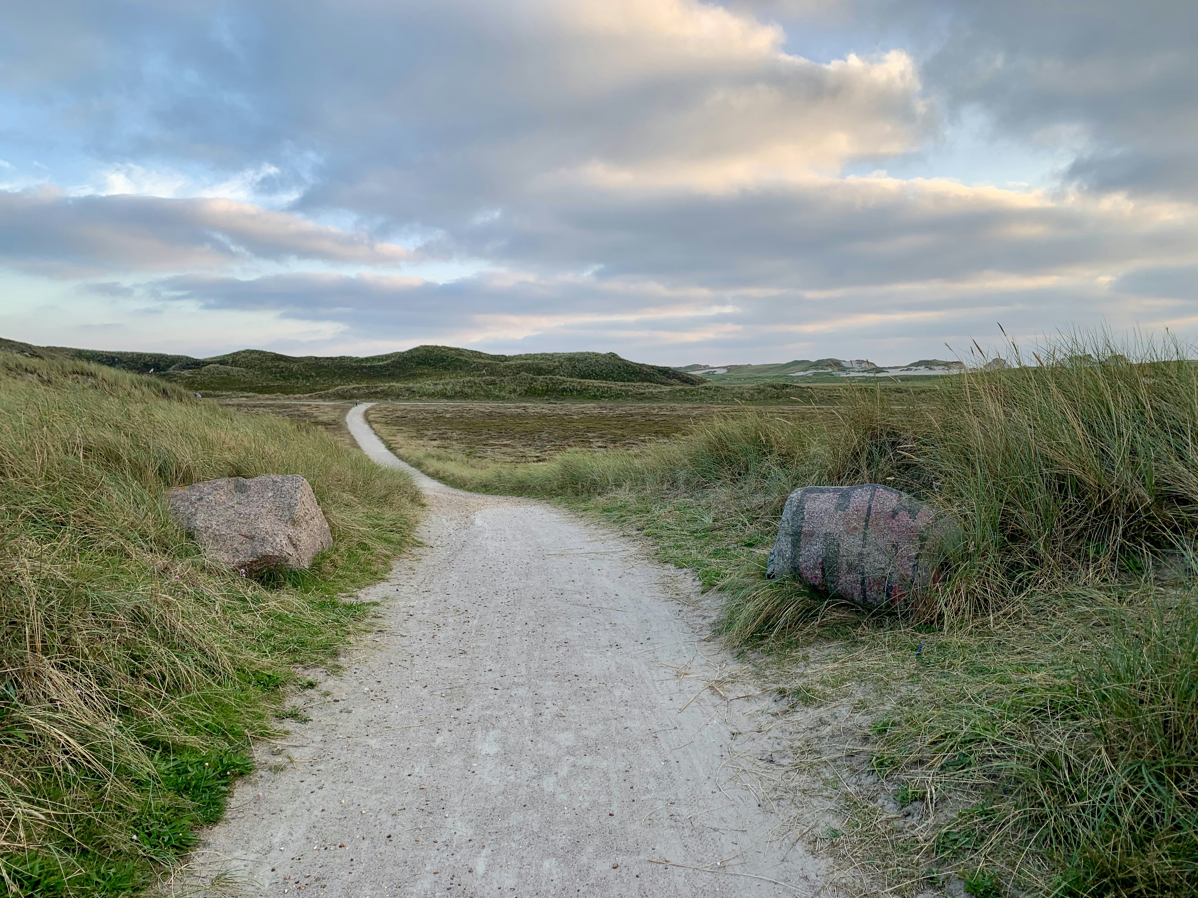 A dirt road with rocks on the side and grass on the side photo – Free ...