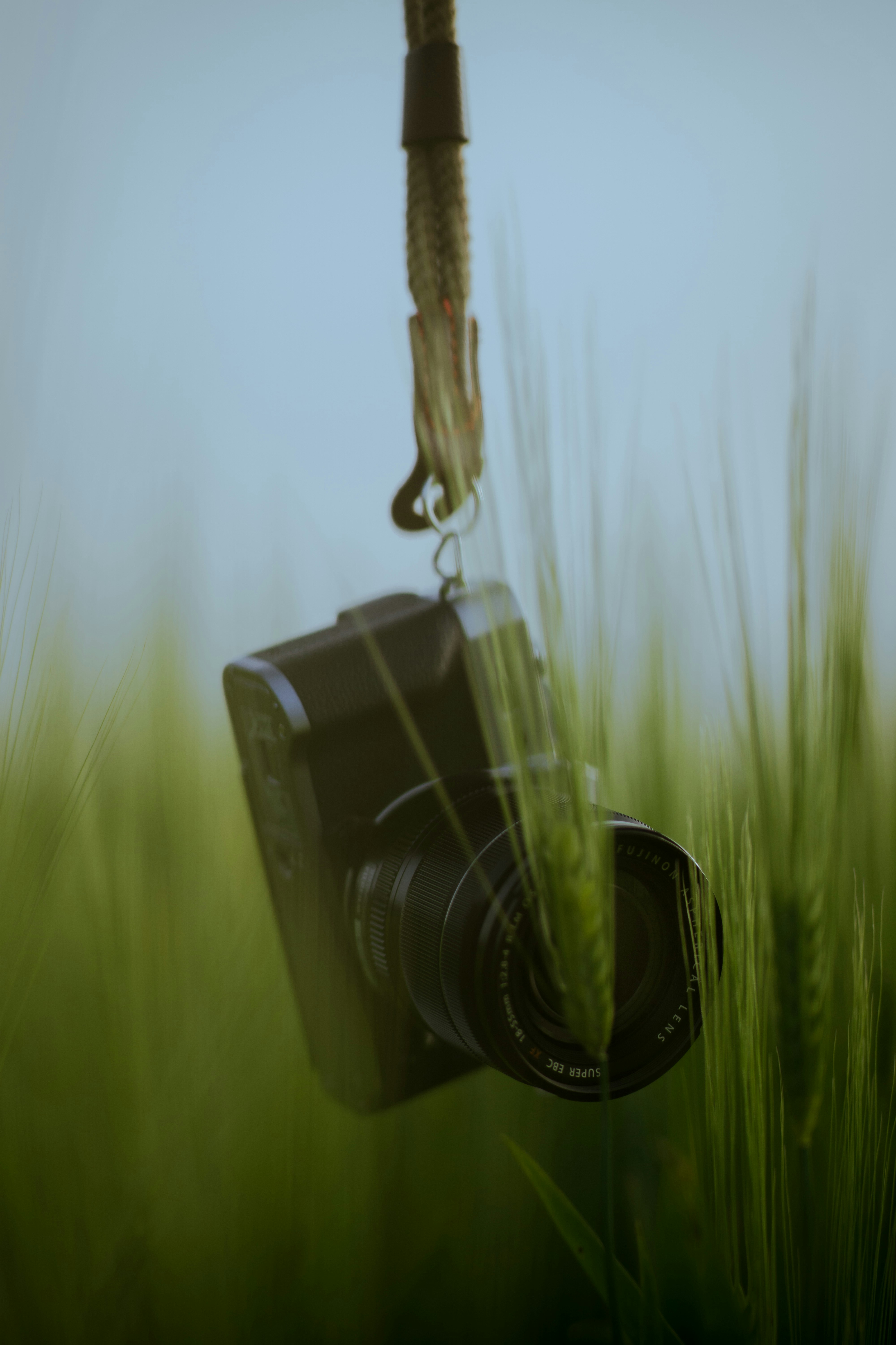 A Hanging Moment: A Compact Camera Velvet in a Field of Green