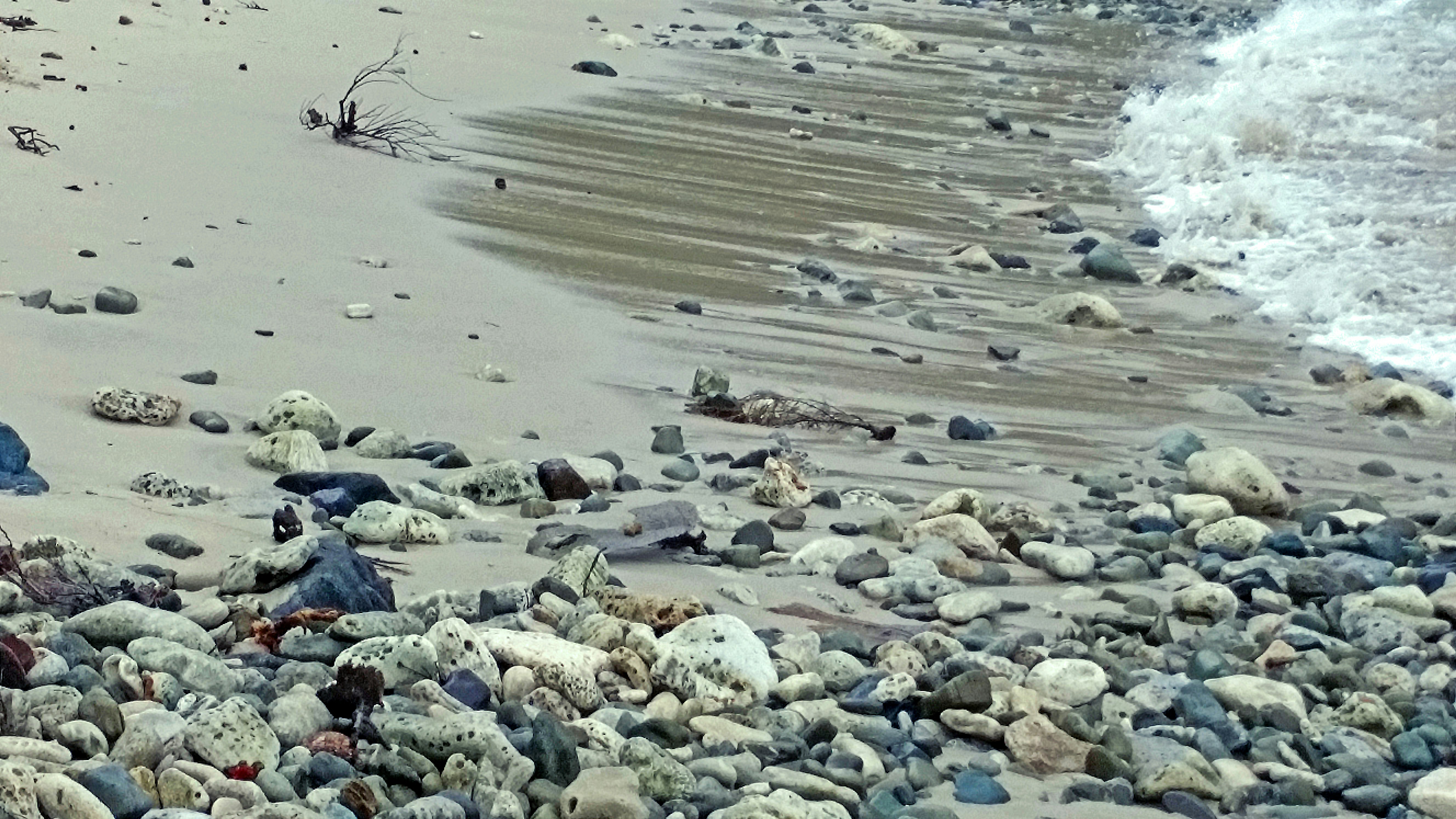 Pebble Mosaic by a Quiet Shoreline
