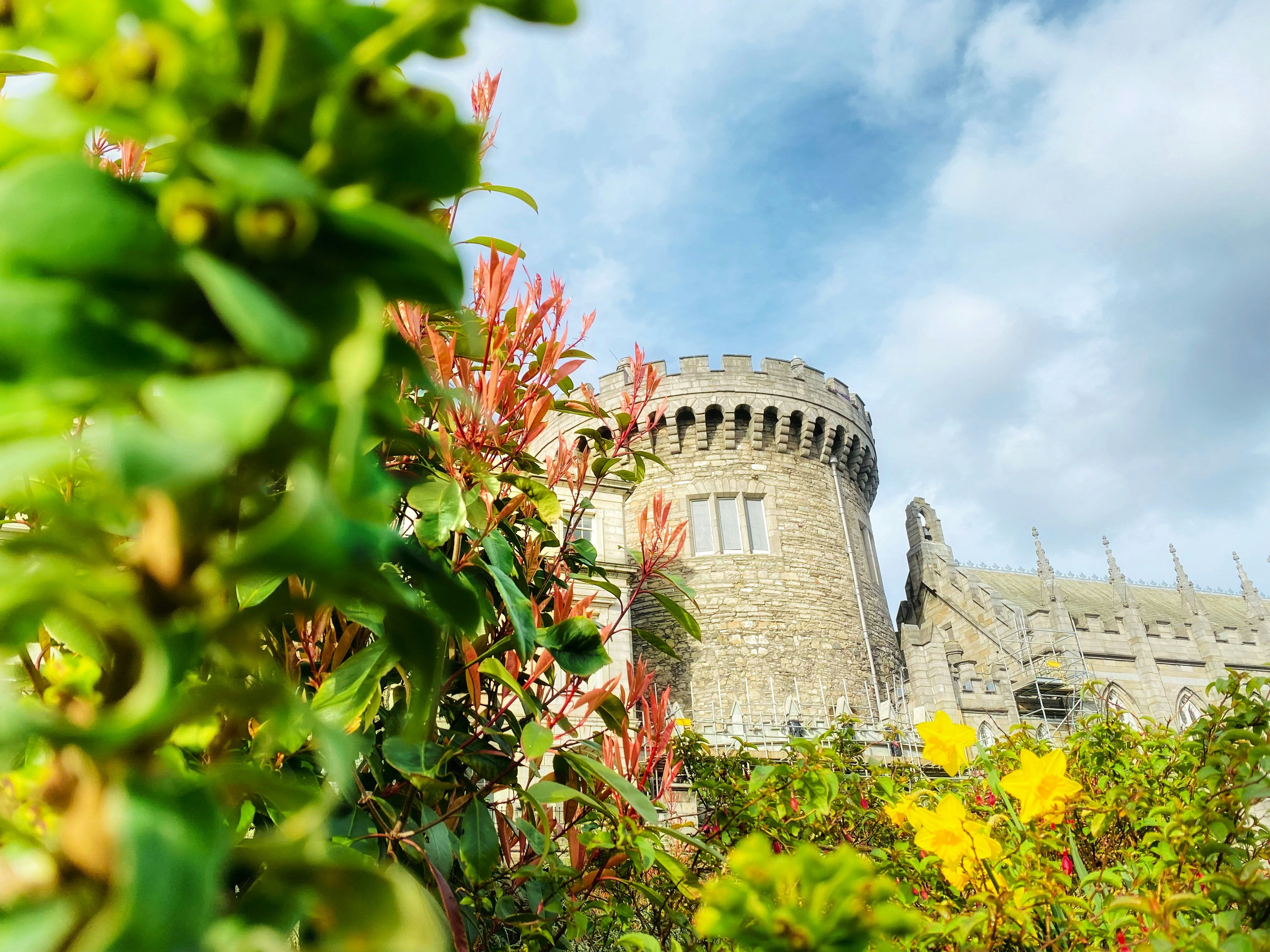 A historic castle peeks through vibrant foliage and blooming flowers, capturing a moment where nature and architecture intertwine.