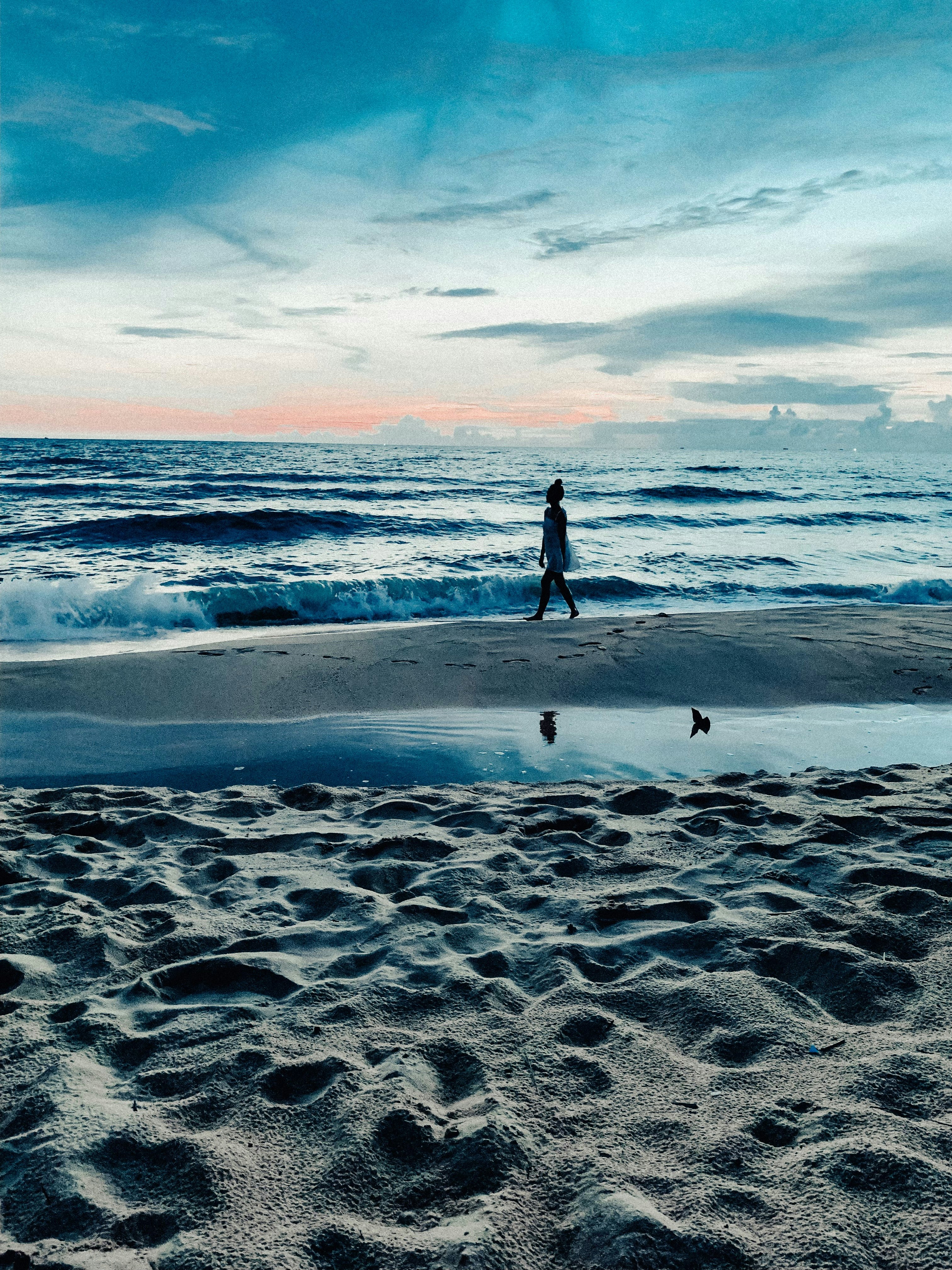 Dusk Walk: Silhouette on a blue-pink shoreline