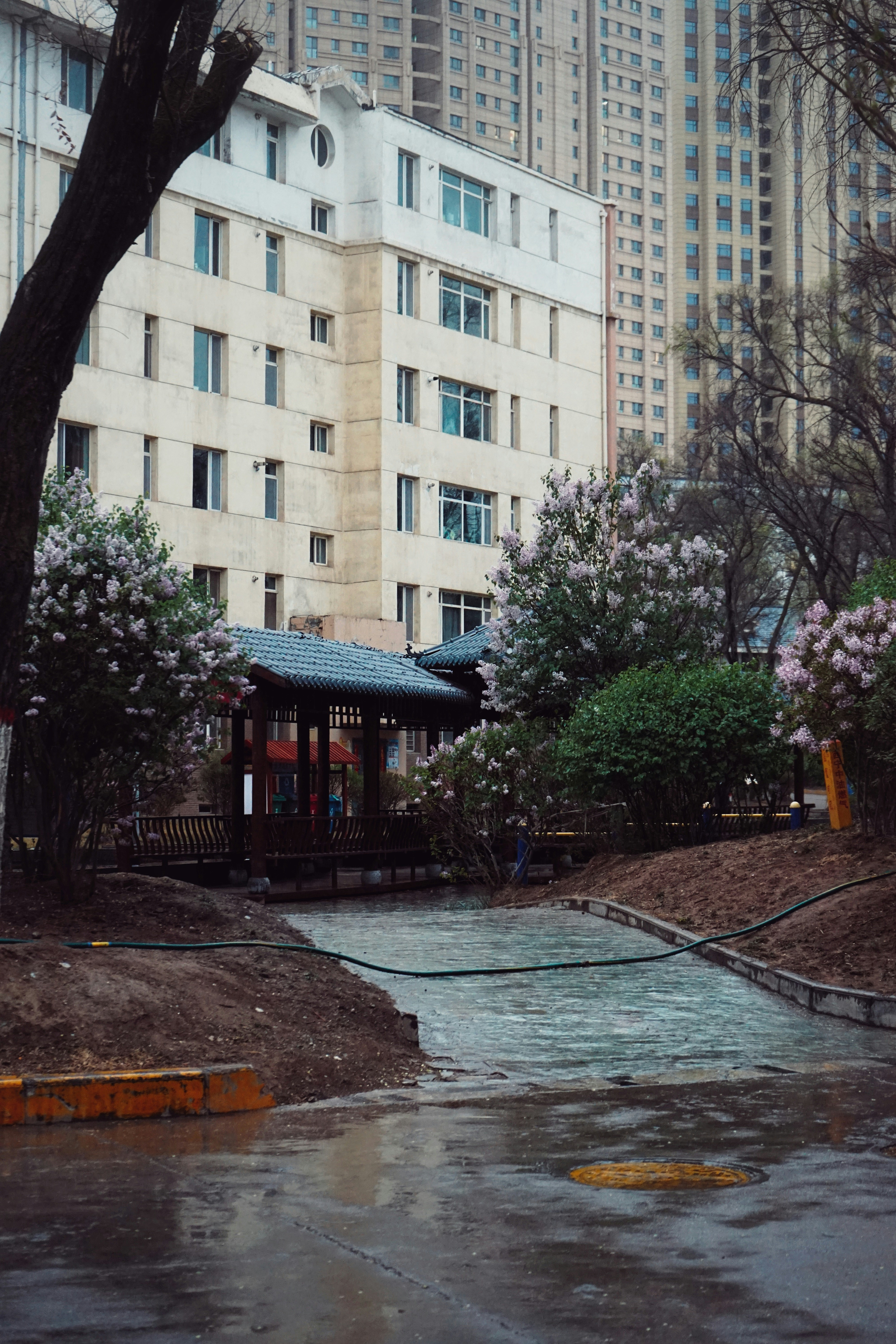 a building with trees and a body of water in front of it