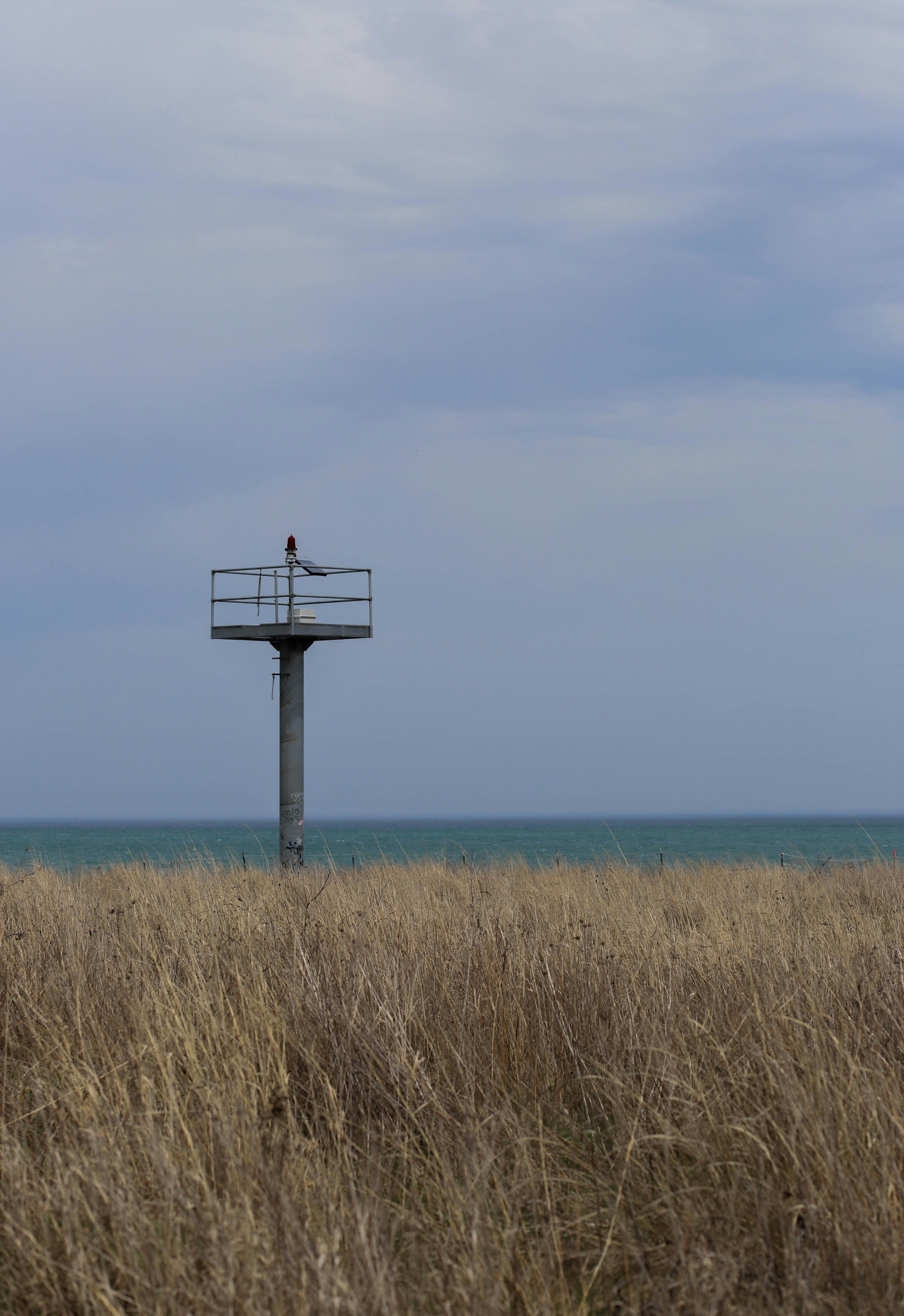Lighthouse Sentinel Over Weedy Shore