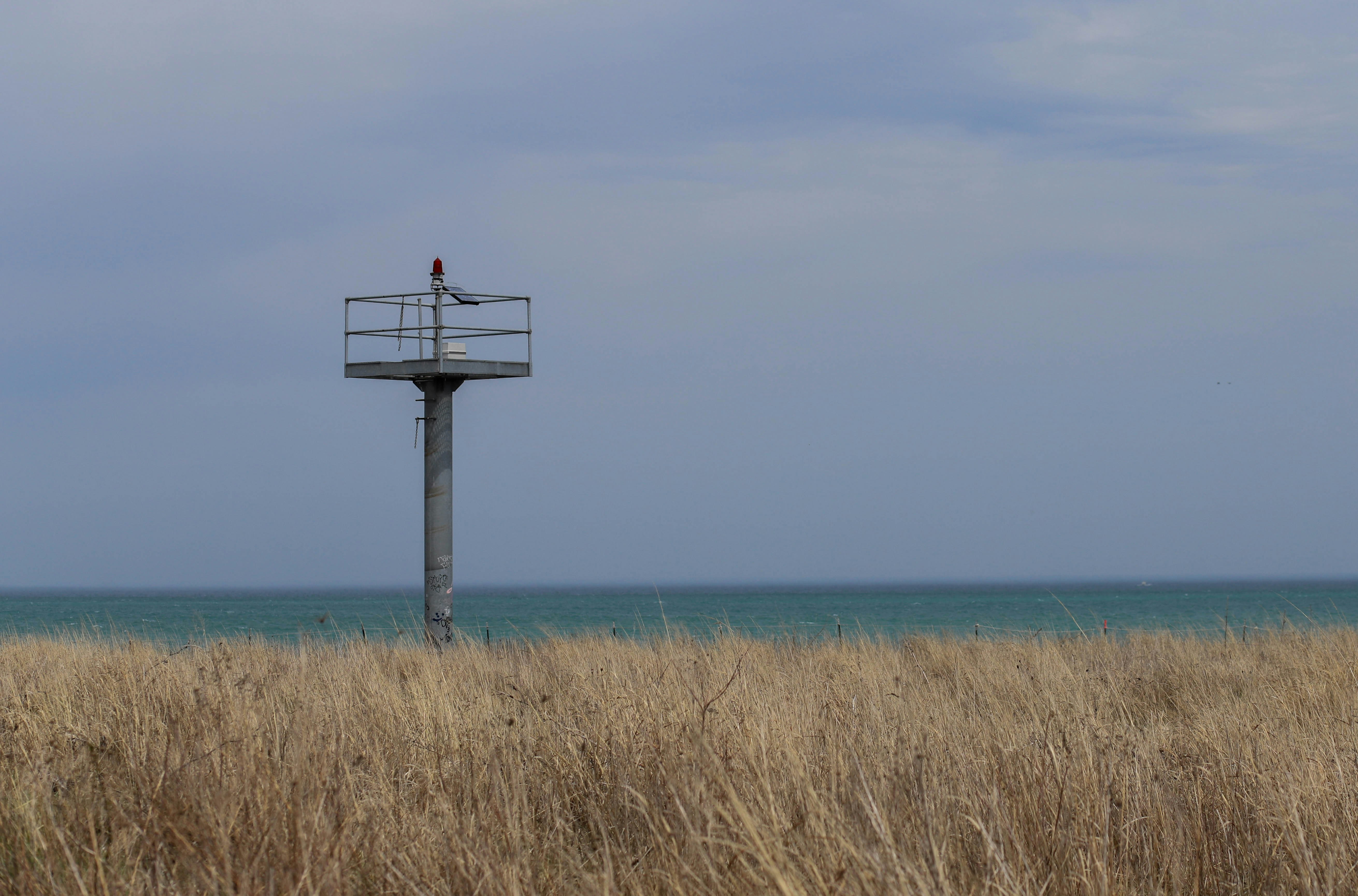 Sentinel on the Seagrass Dune Overlooking the Quiet Coastal Horizon