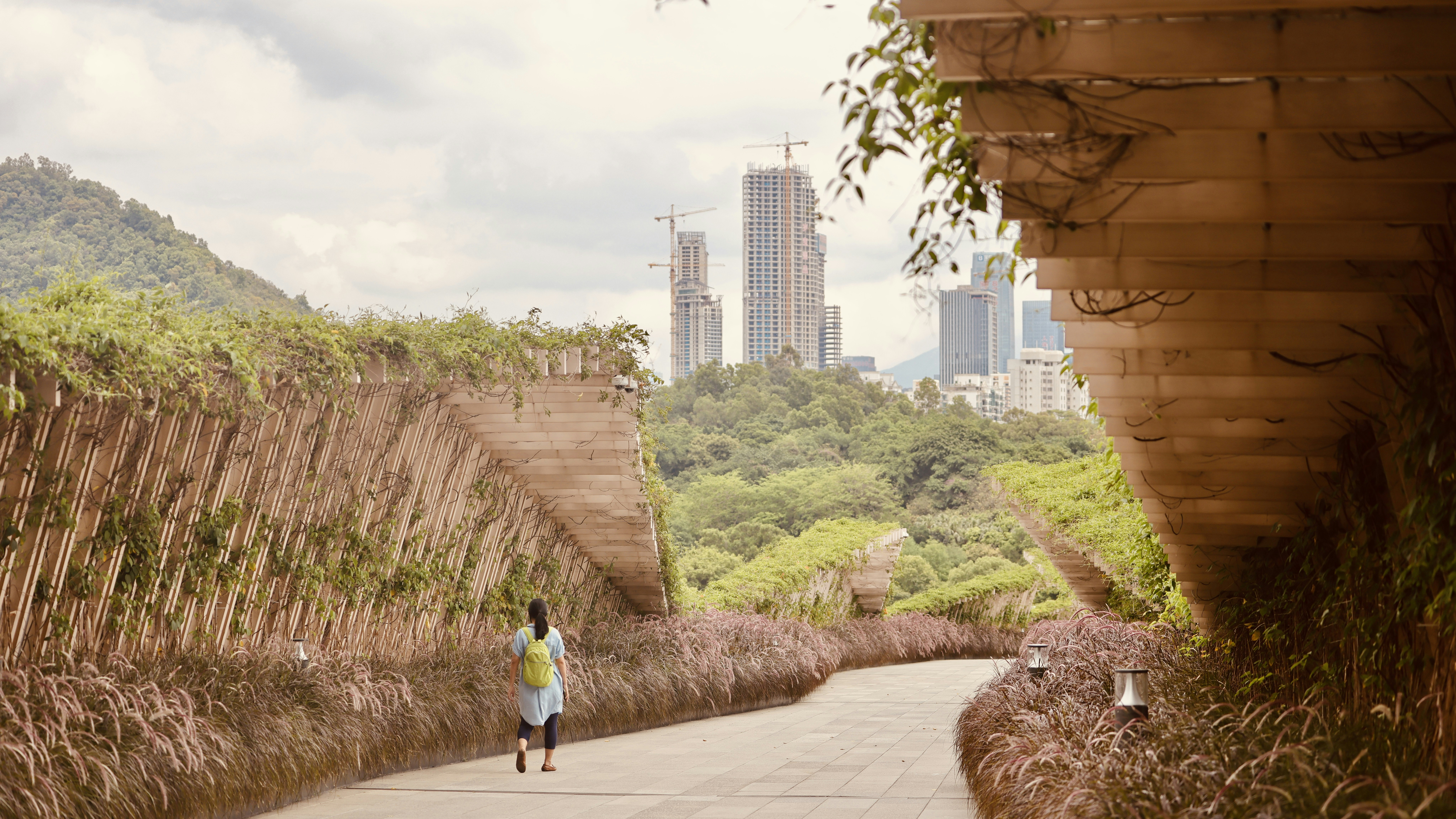 A person walking on a path with tall buildings in the background photo ...