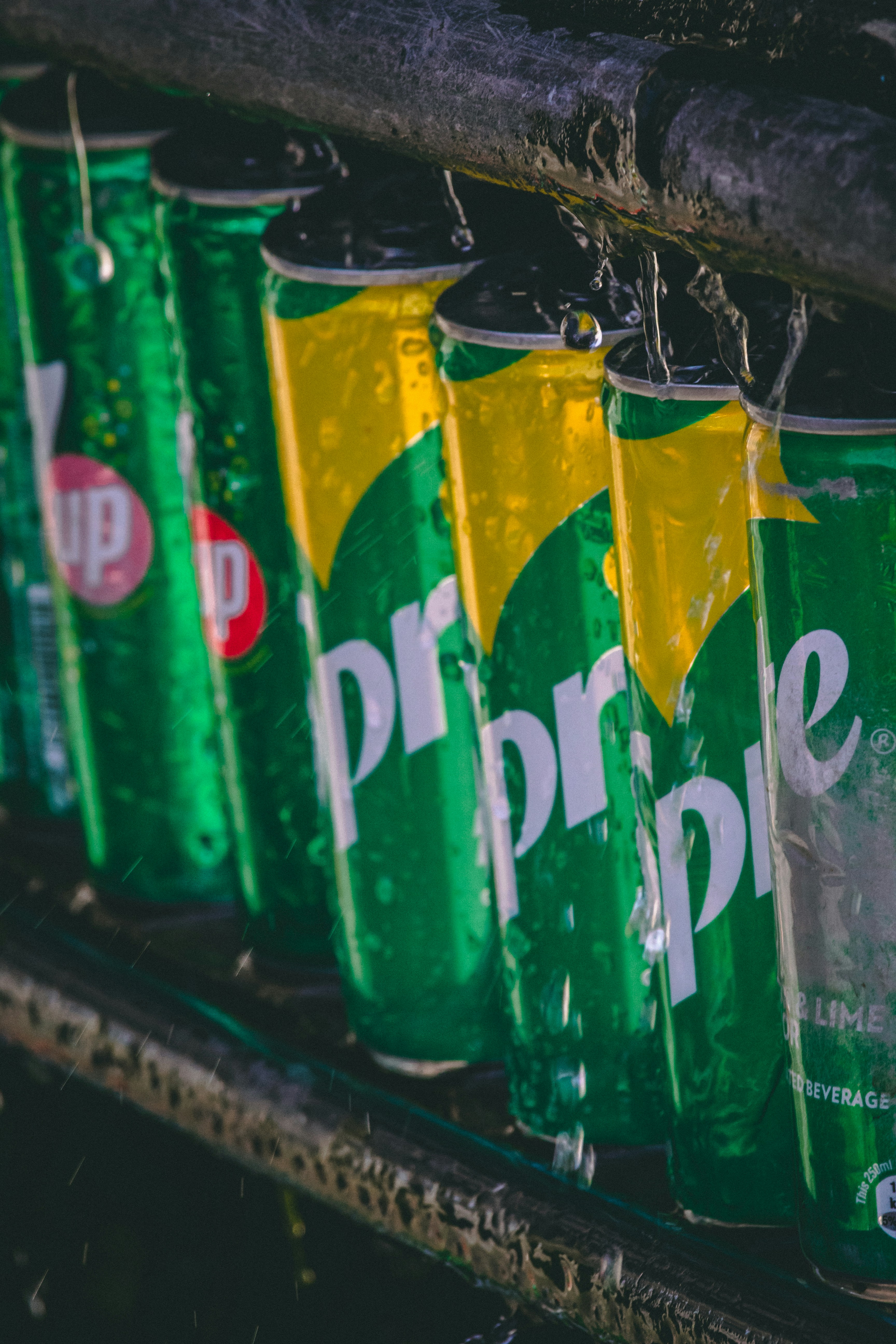 Emerald Dr Pepper Row Beneath a Gentle Drizzle